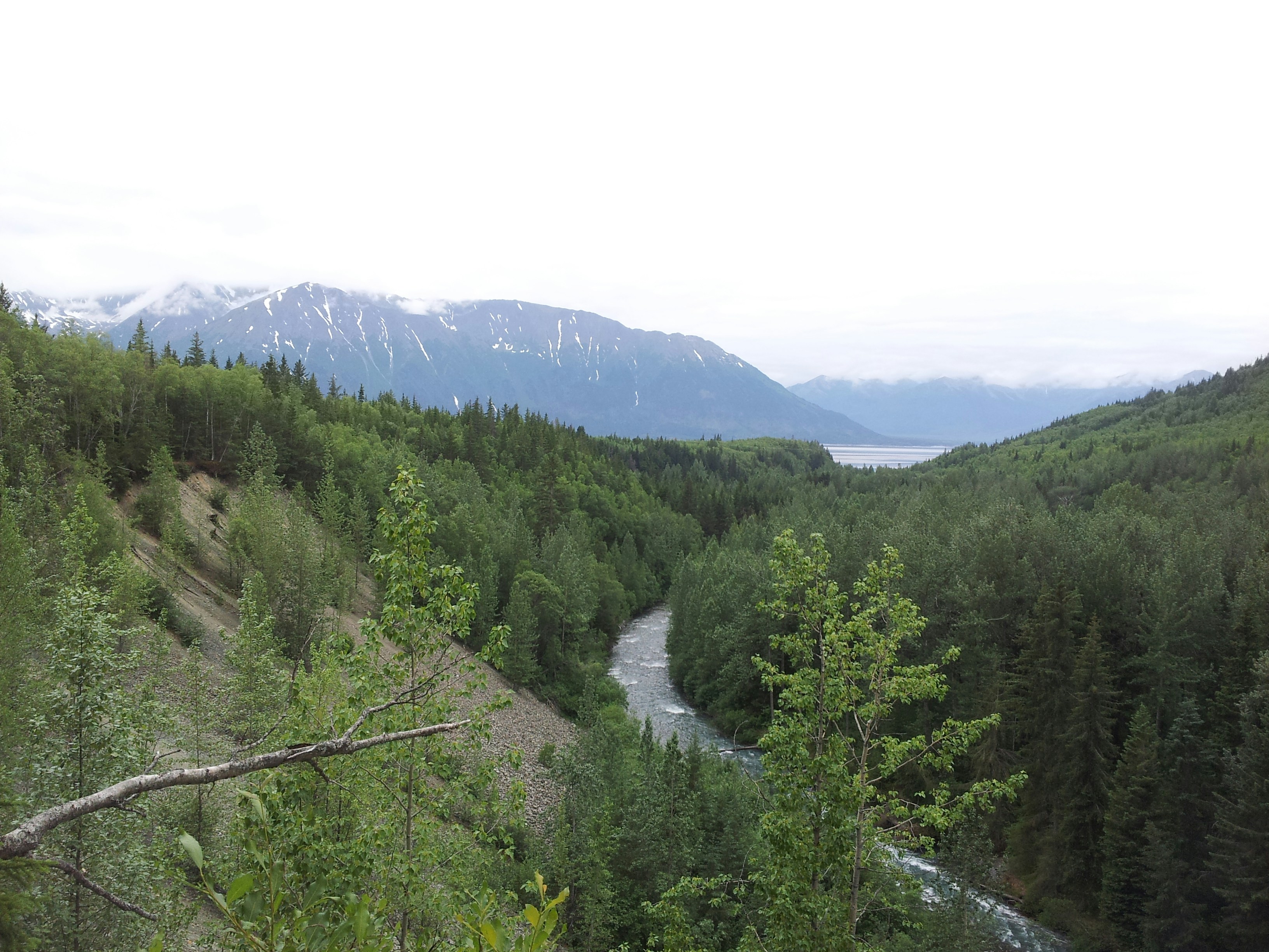Lush green landscape with a winding river flowing through a valley, framed by distant snow-capped mountains under an overcast sky.