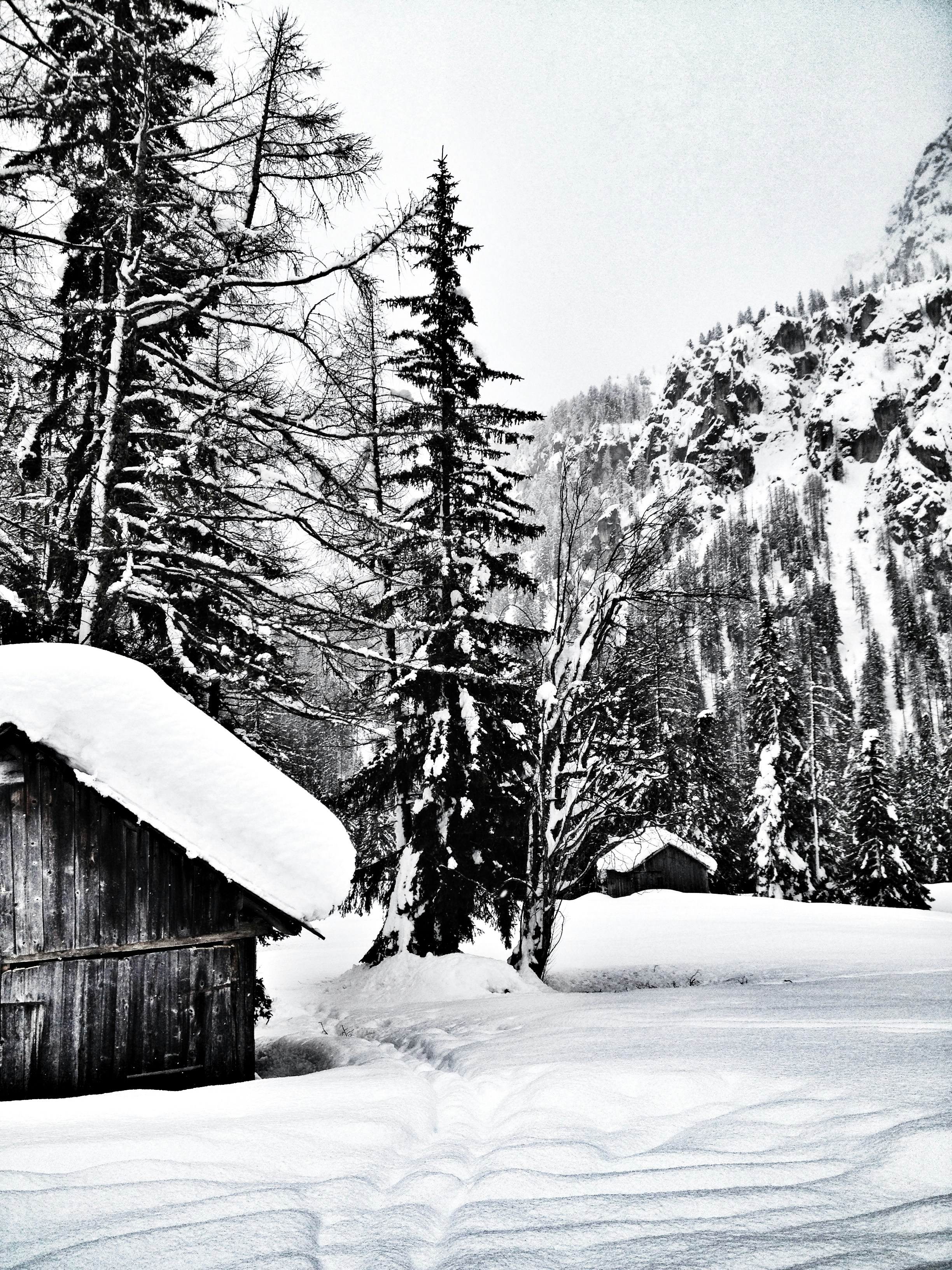 Wooden cabin nestled in a snowy landscape, framed by tall evergreen trees and distant mountains. The scene embodies the tranquility of a winter's day.