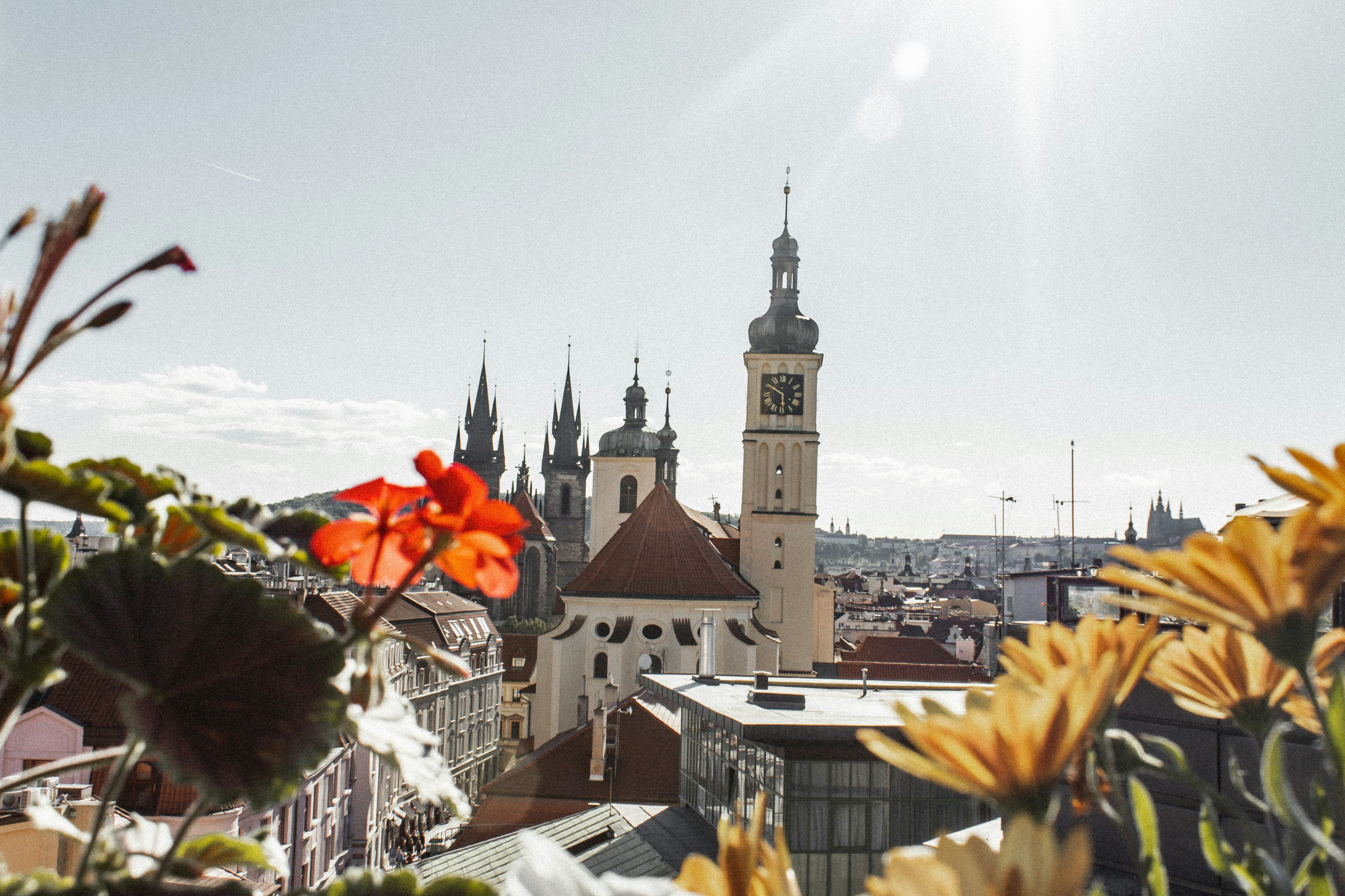 Vibrant flowers frame a panoramic view of a historic city skyline featuring a prominent clock tower and gothic spires. The scene captures the blend of nature and urban architecture.