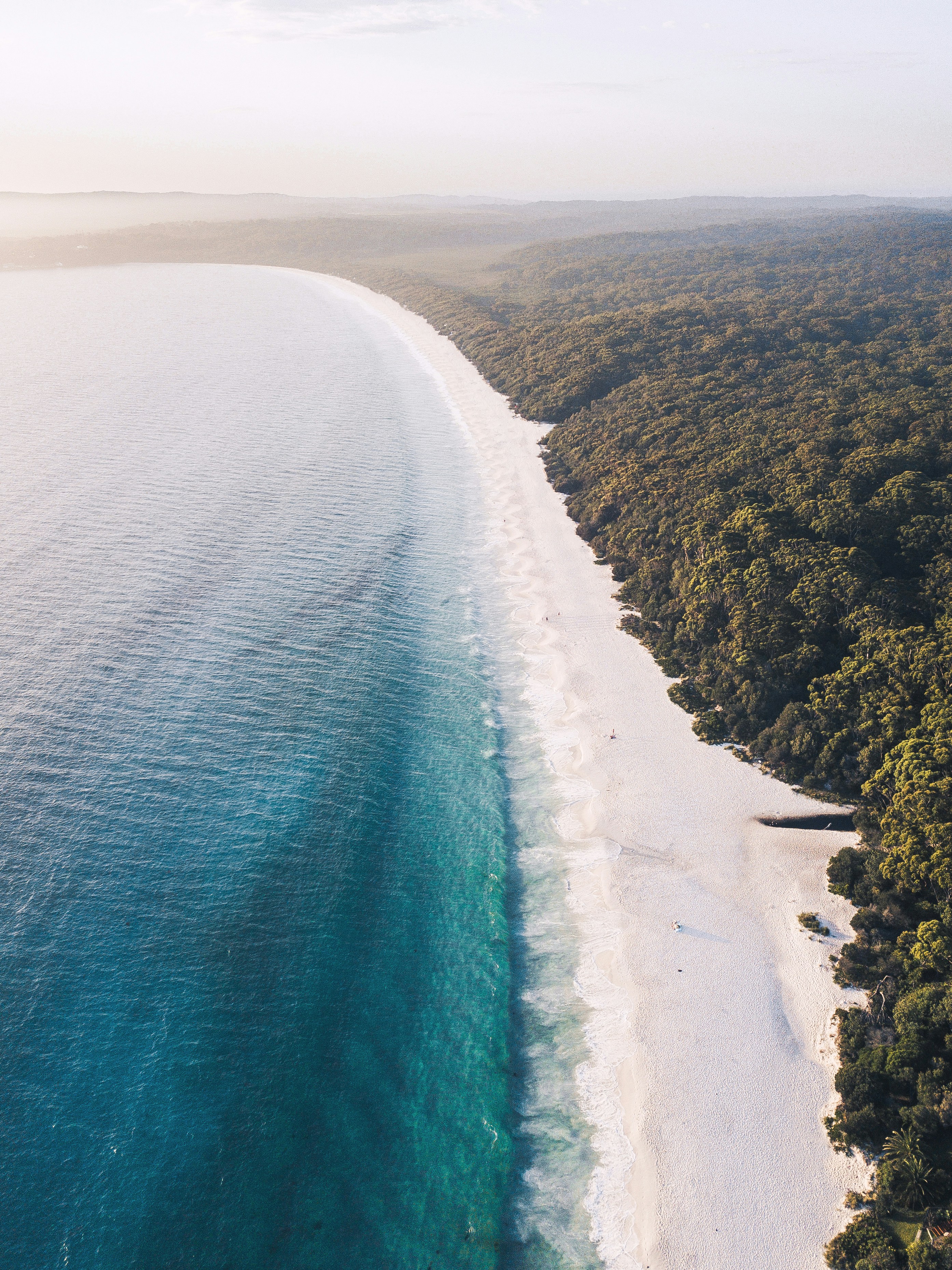 Aerial view of a pristine beach curving into a lush forest, showcasing the vibrant contrast between sea and land. The scene captures the tranquility of nature's meeting point.