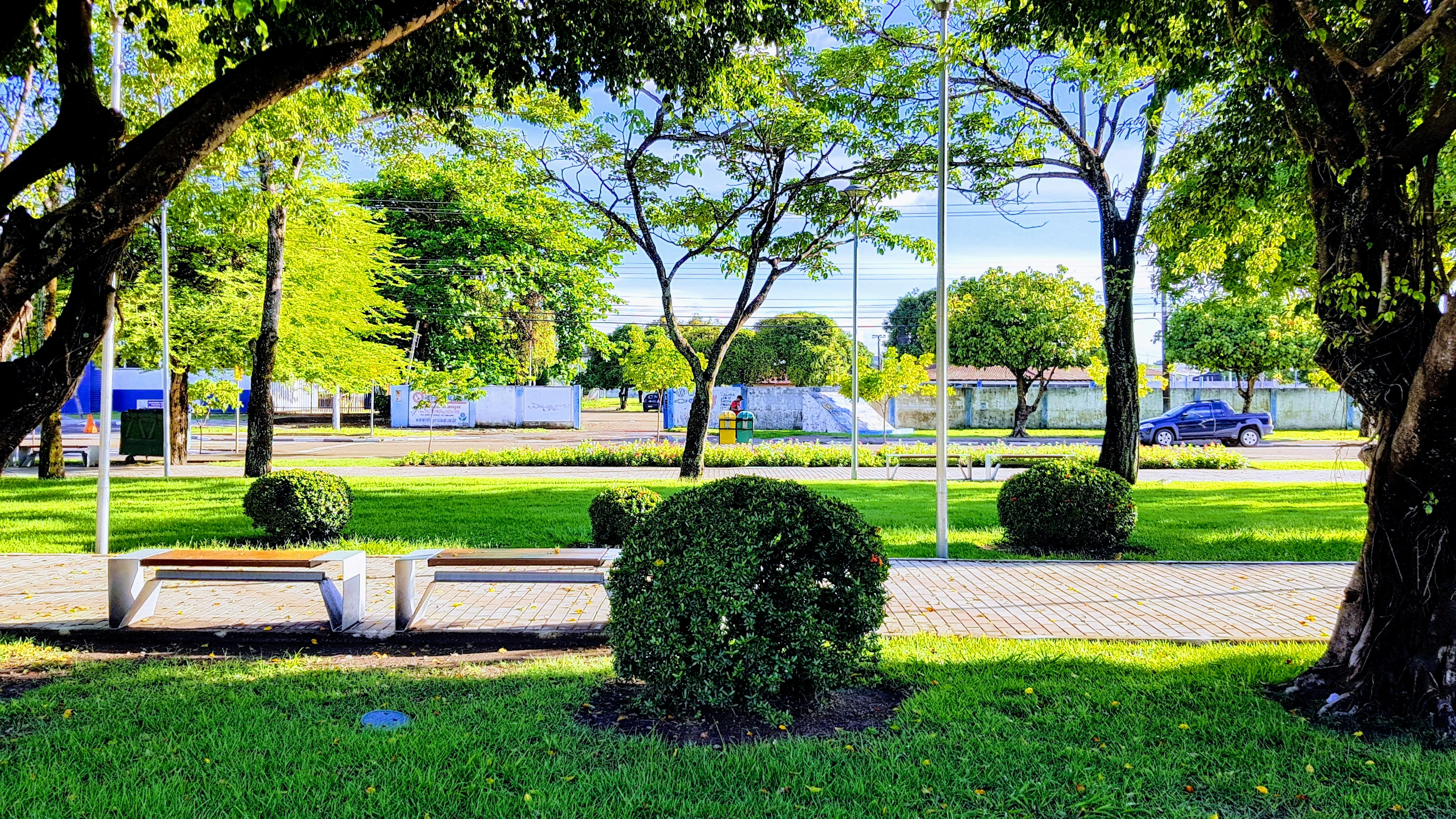 Lush green park with neatly trimmed bushes and tall trees under a bright blue sky.