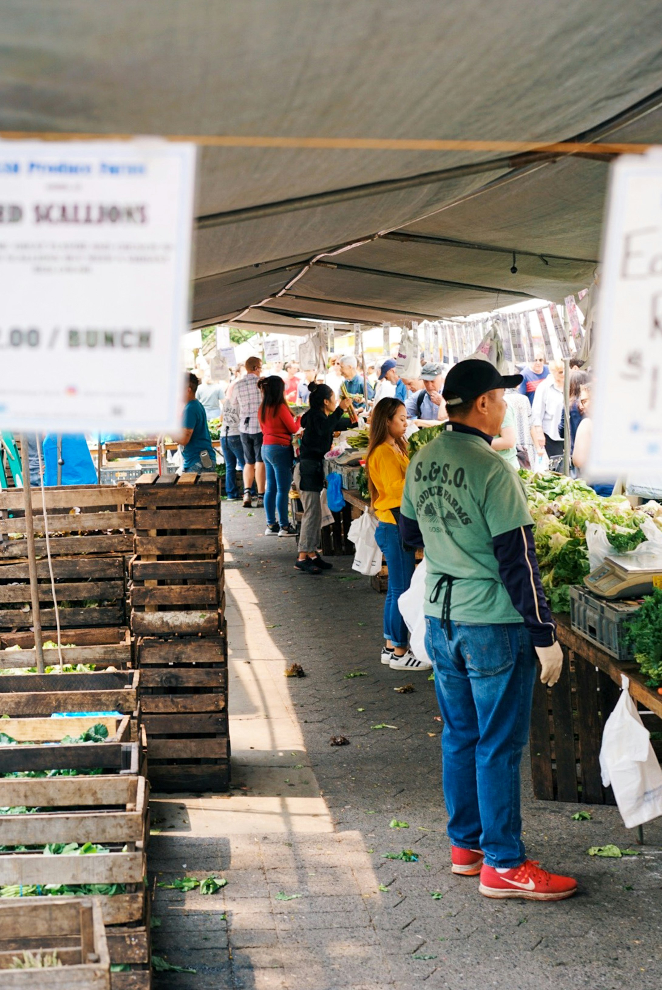 Under the Canopy Aisle: A City Market Moment