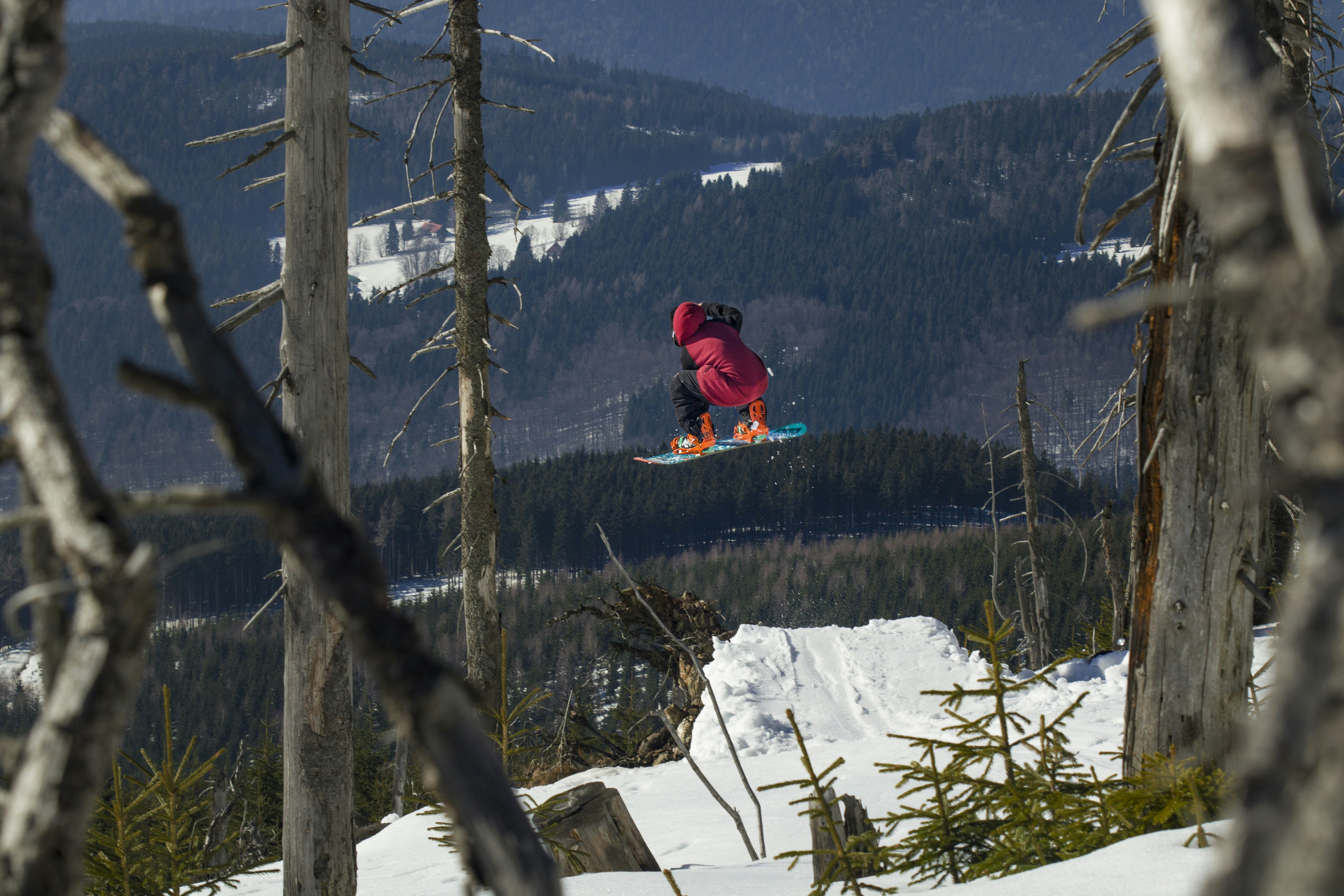 Snowboarder Carves Through a Hidden Forest Gap