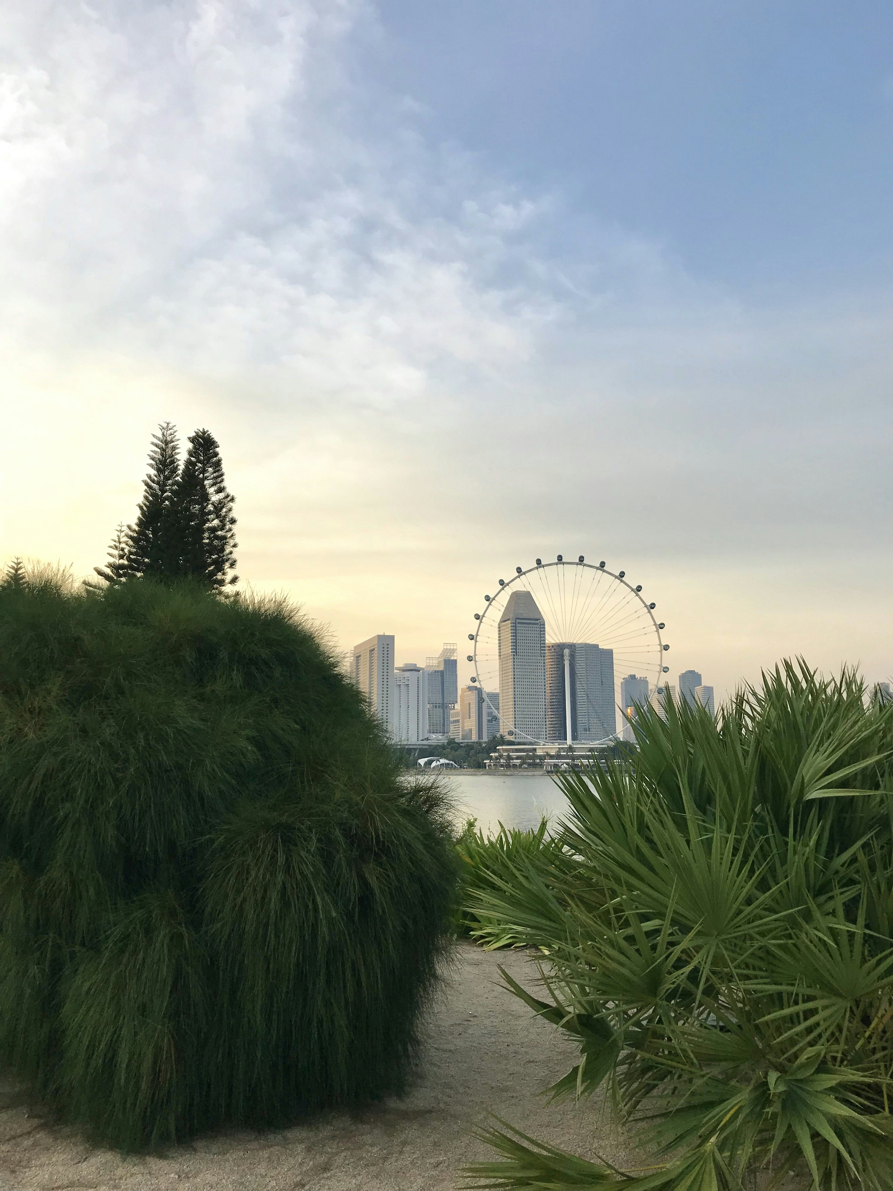 Lush greenery frames a view of the city skyline and a large observation wheel, blending nature with urban life.