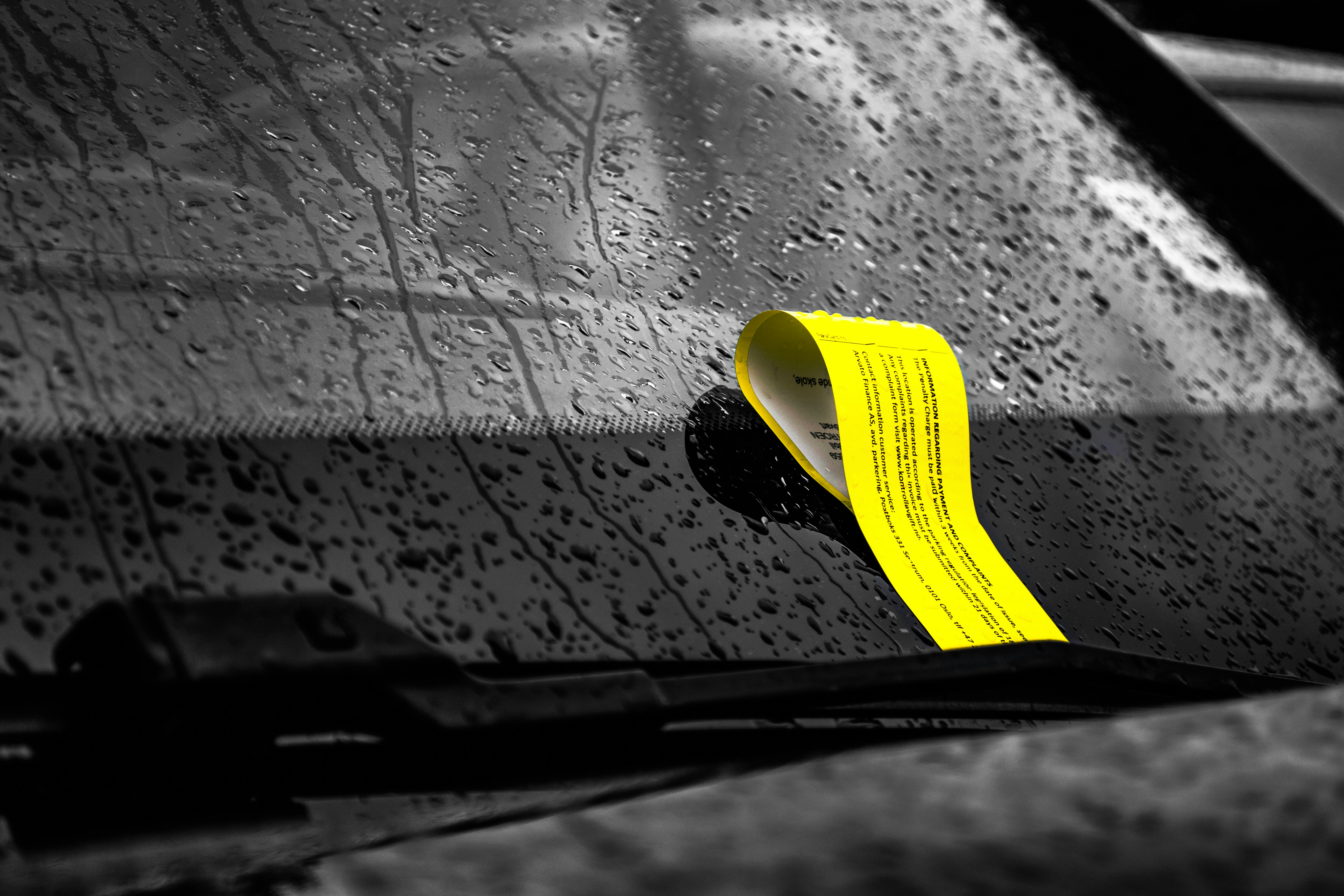 Yellow Ticket Adrift on a Rain-Kissed Windshield