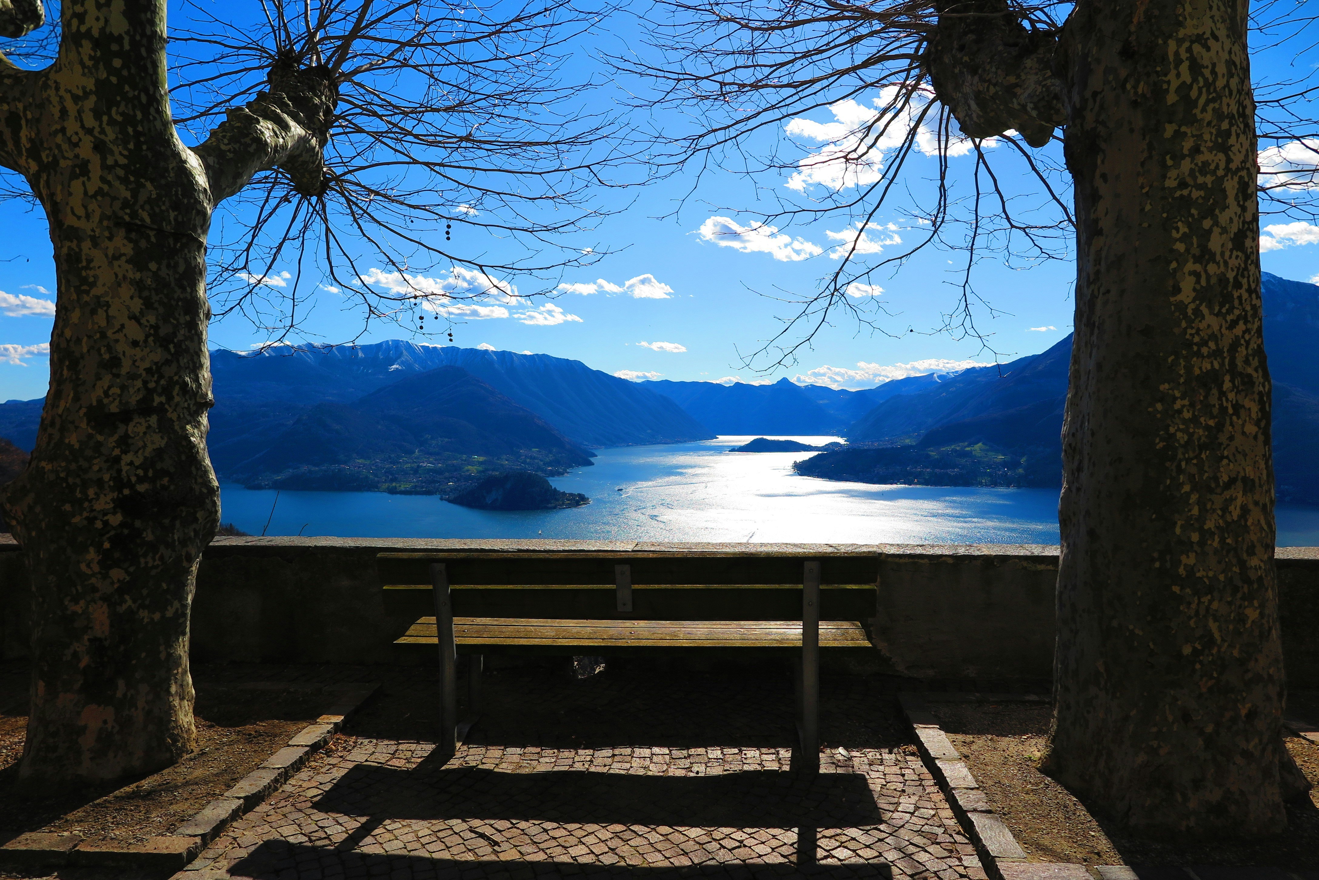 Panoramic view of a serene lake framed by bare trees and a wooden bench under a clear sky.