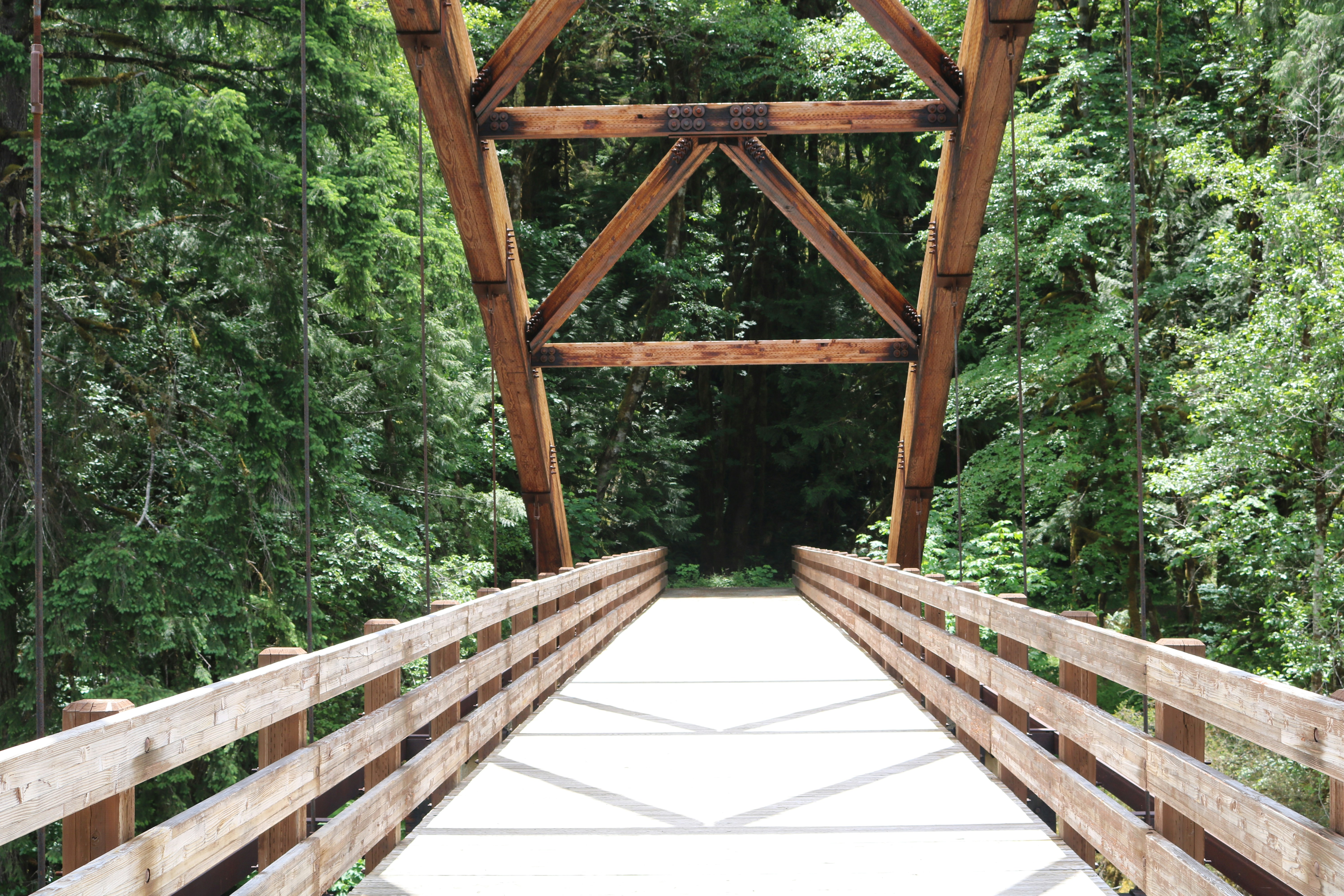 Brown wooden bridge near green-leafed trees during daytime photo – Free ...