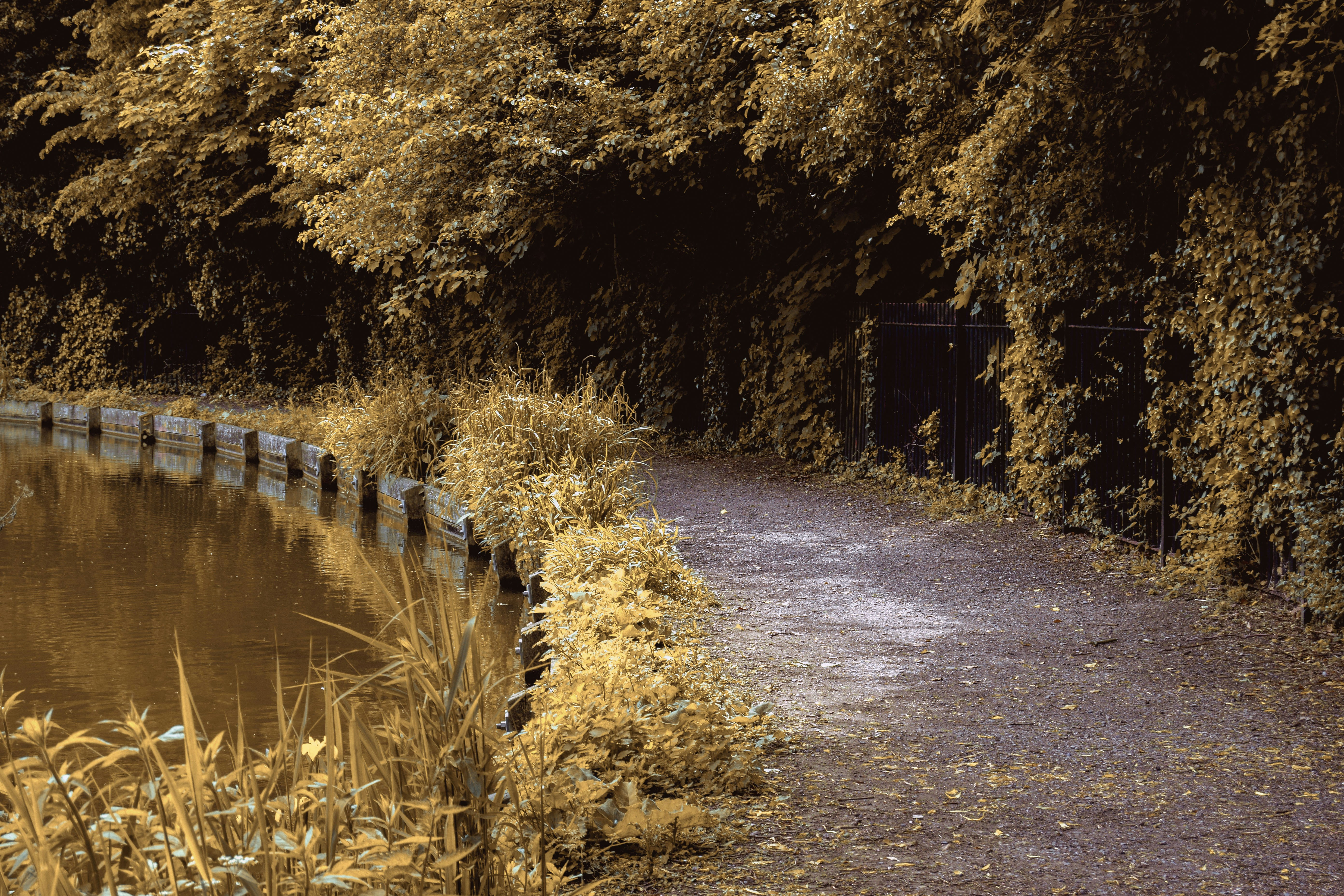 Sepia Riverside Path Toward a Shadowed Gate