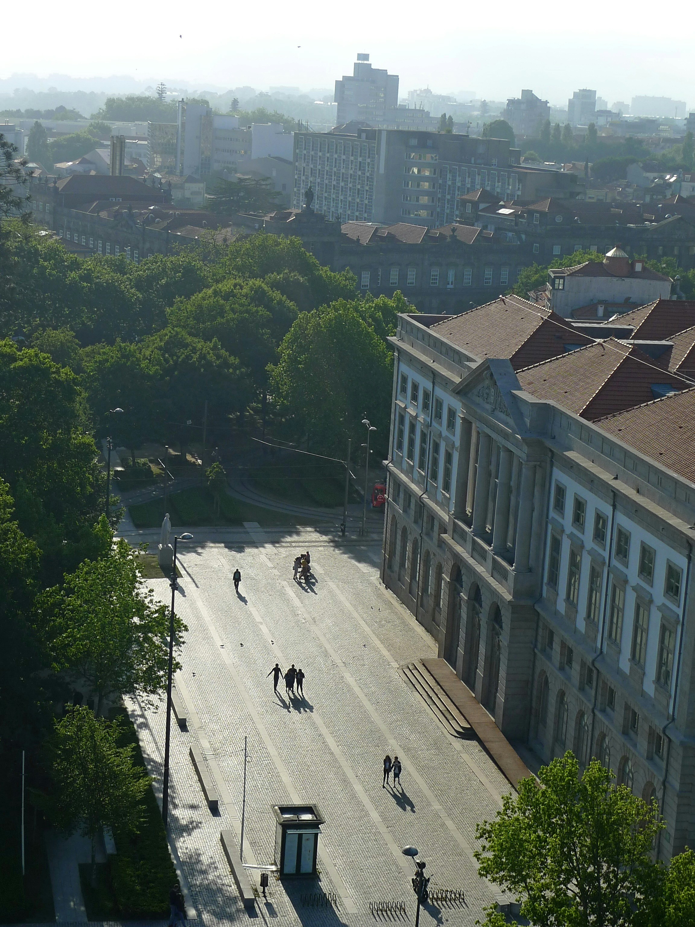 people walking on street