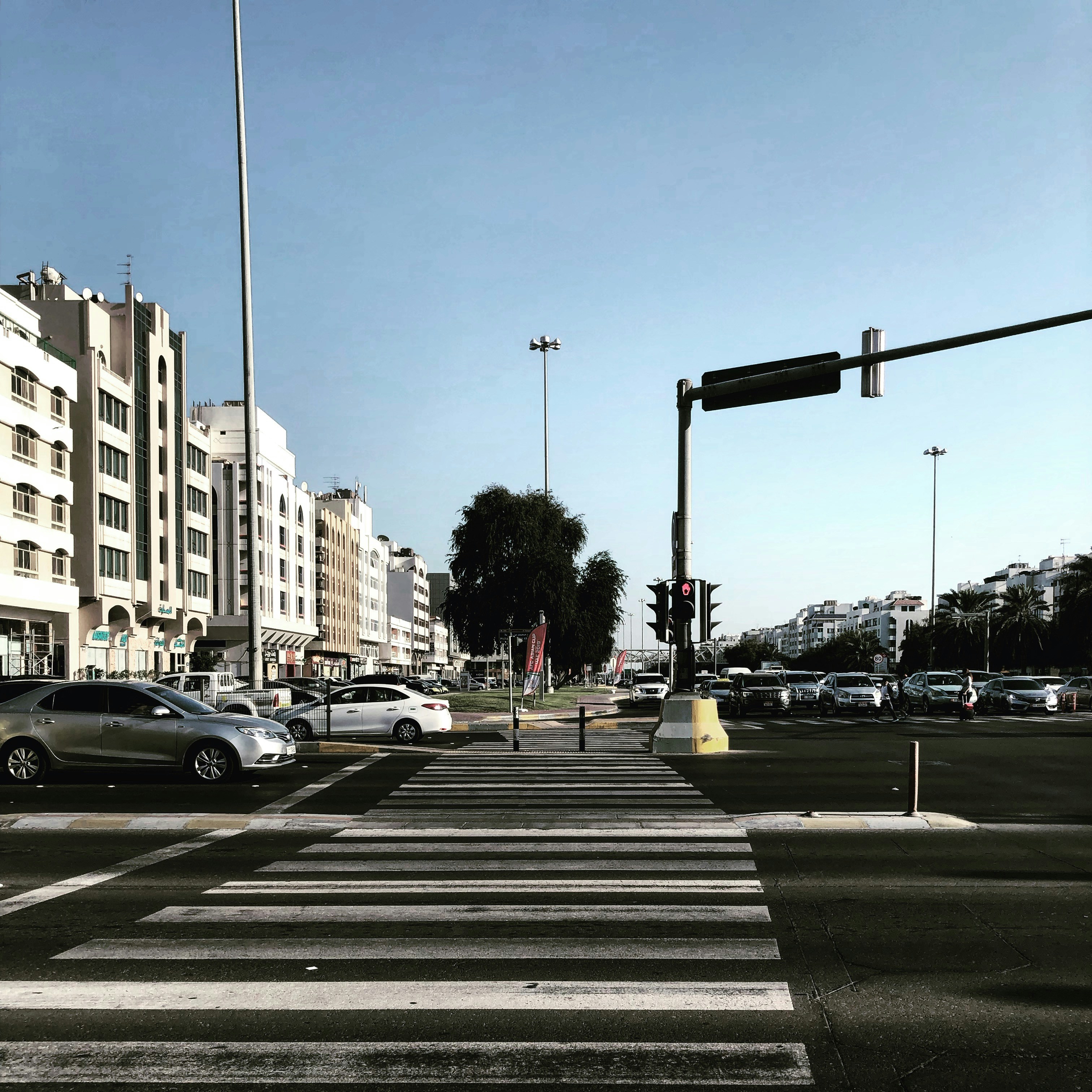 silver sedan near pedestrian lane