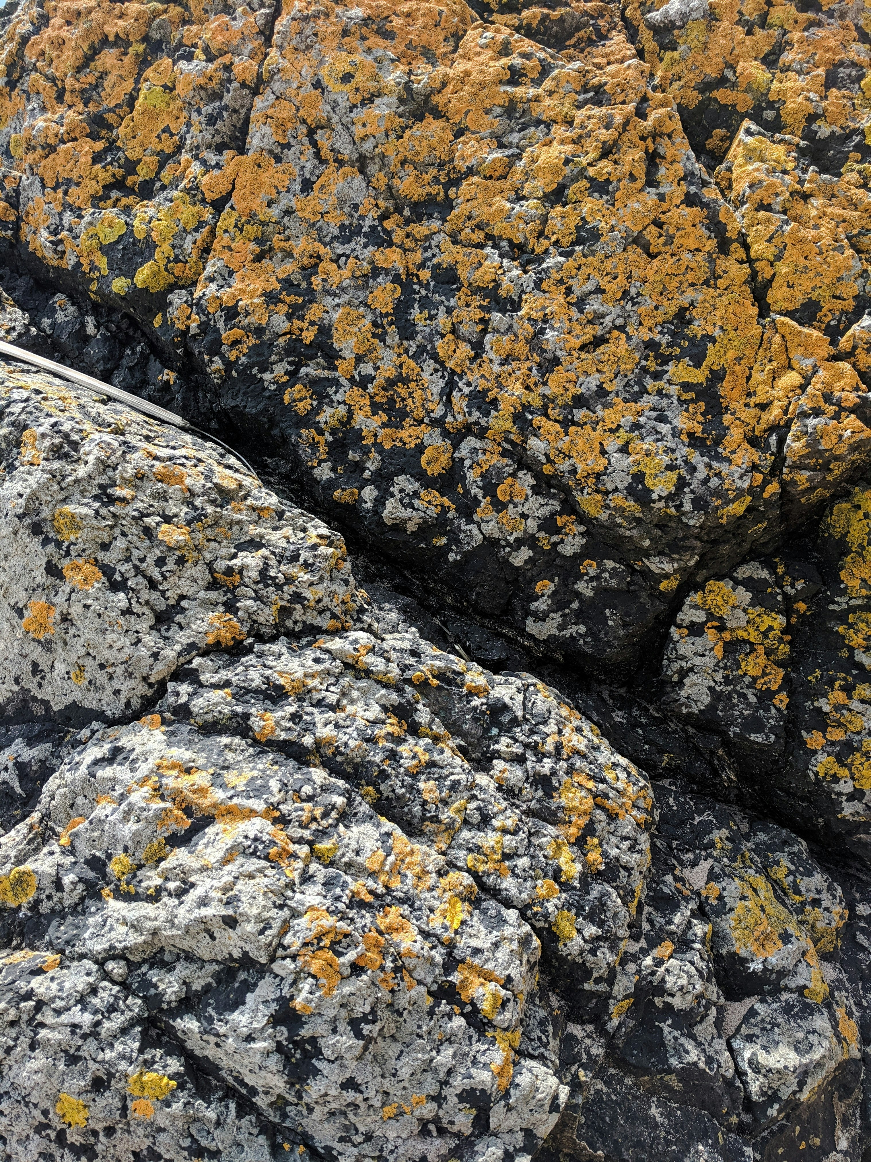 A close up of rocks with yellow moss growing on them photo – Free Rock ...