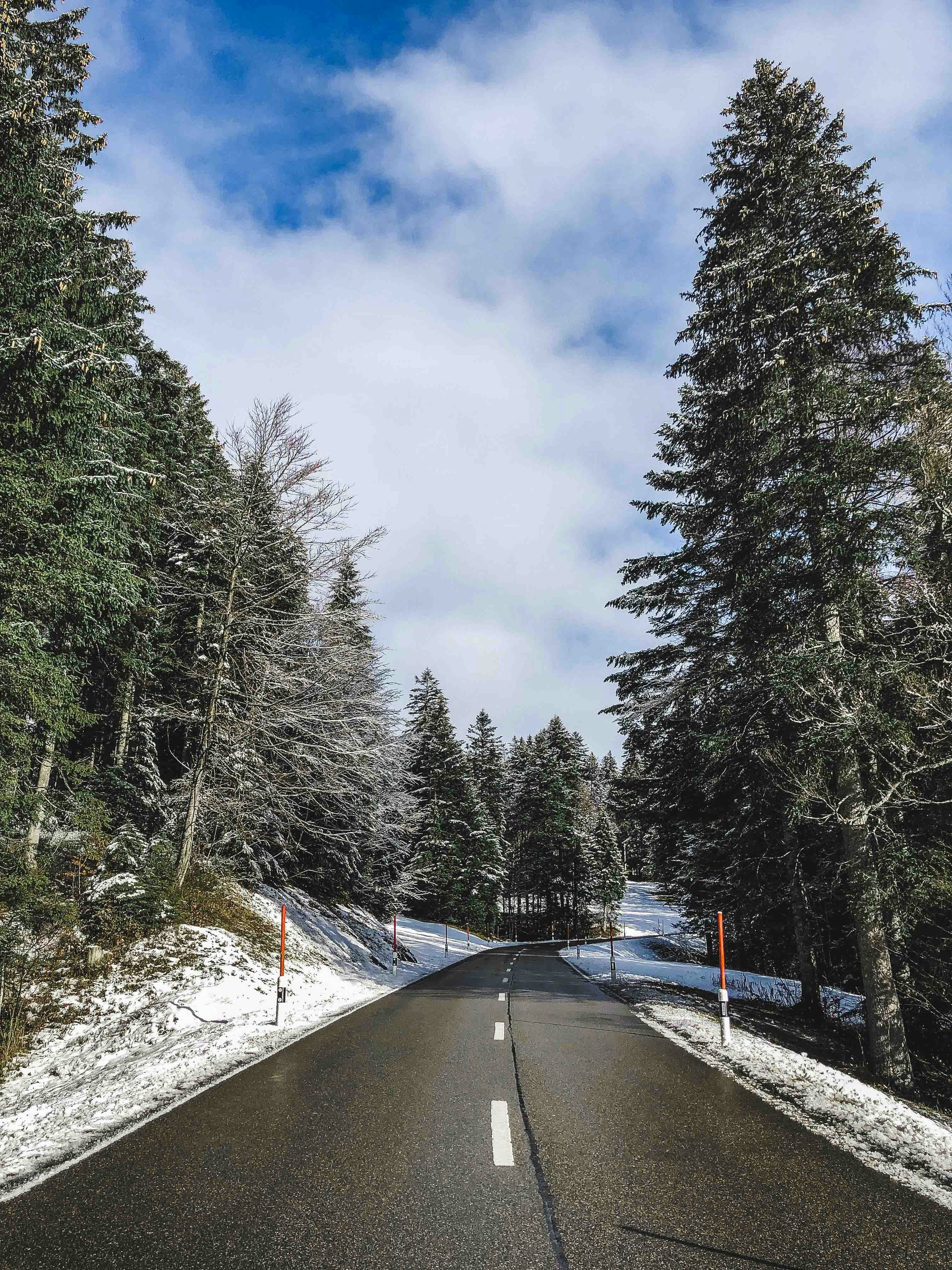Foto Camino vacío a través del bosque – Imagen Árbol gratis en Unsplash