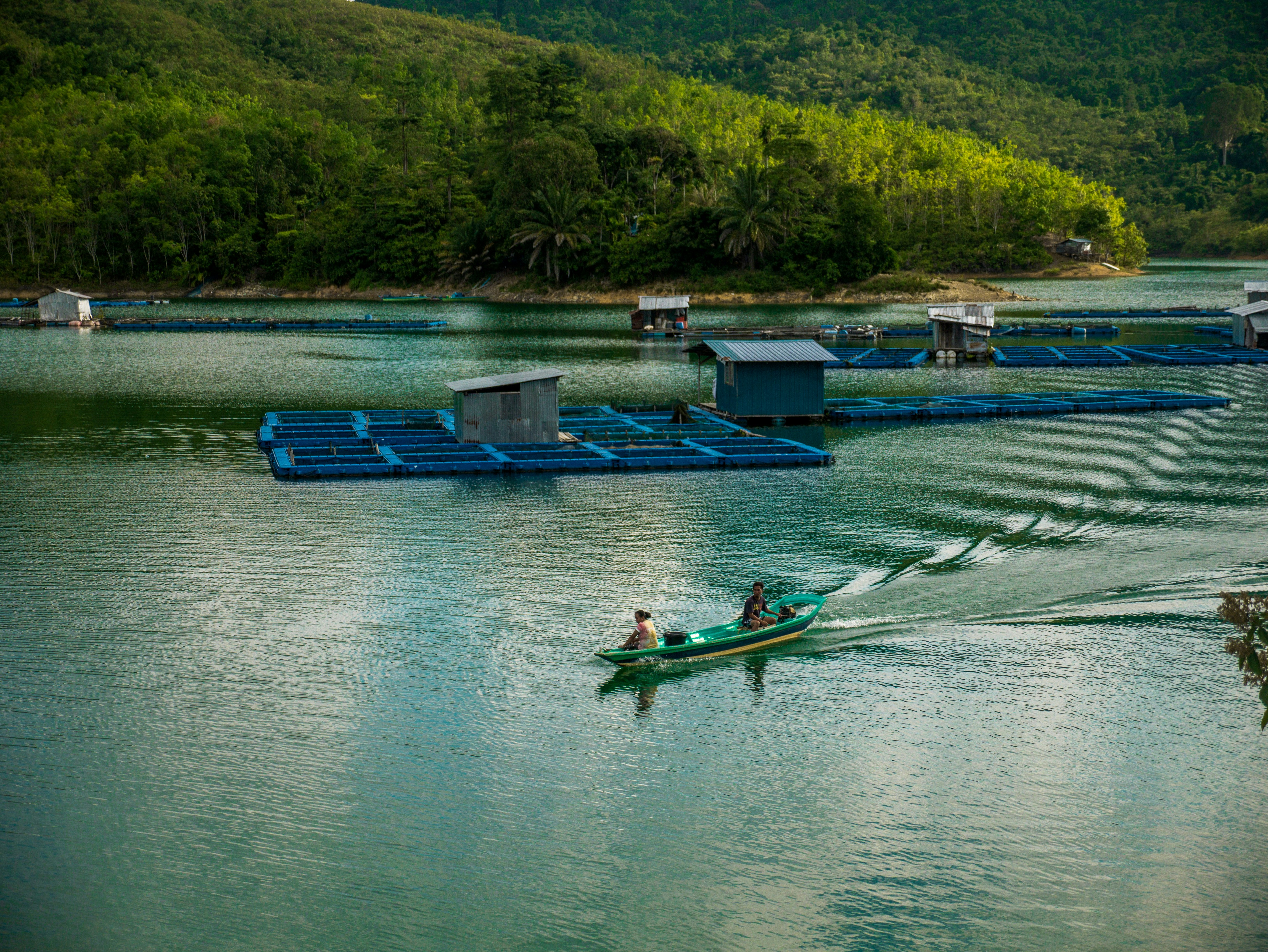 Harmony on the Water: A Serene Journey