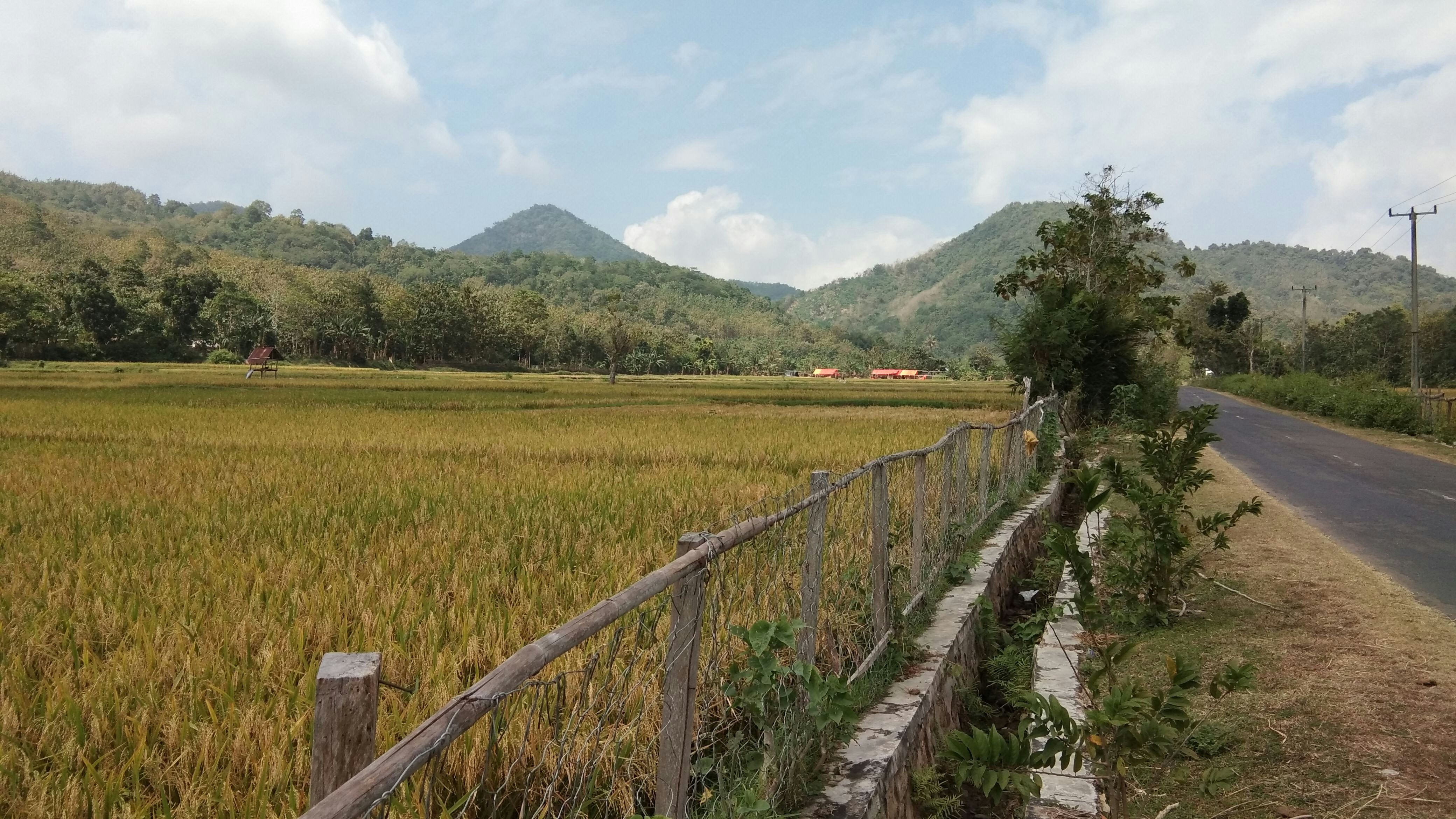 Serenity in the Mountain Valleys