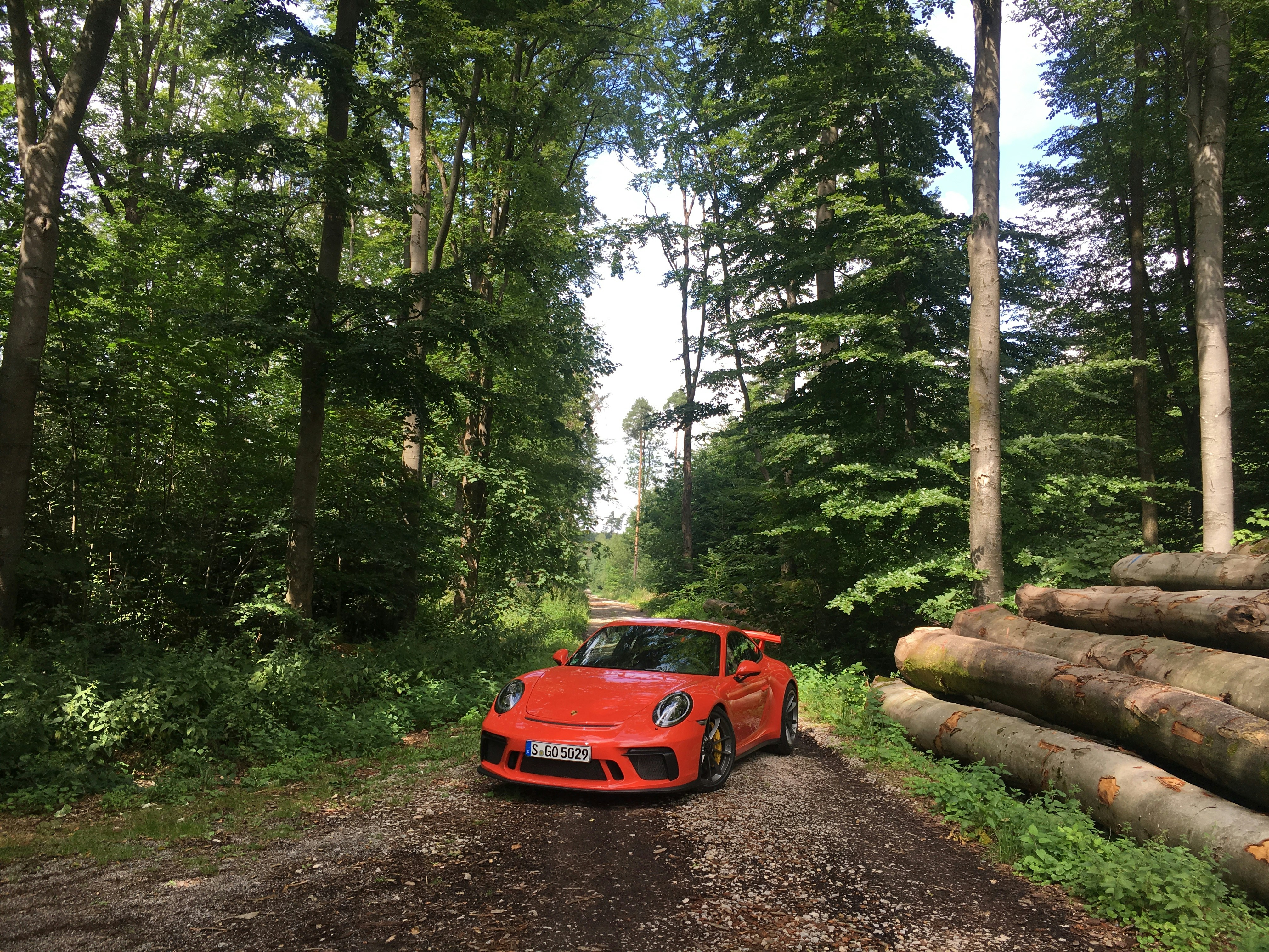 Crimson Porsche on a Quiet Forest Road
