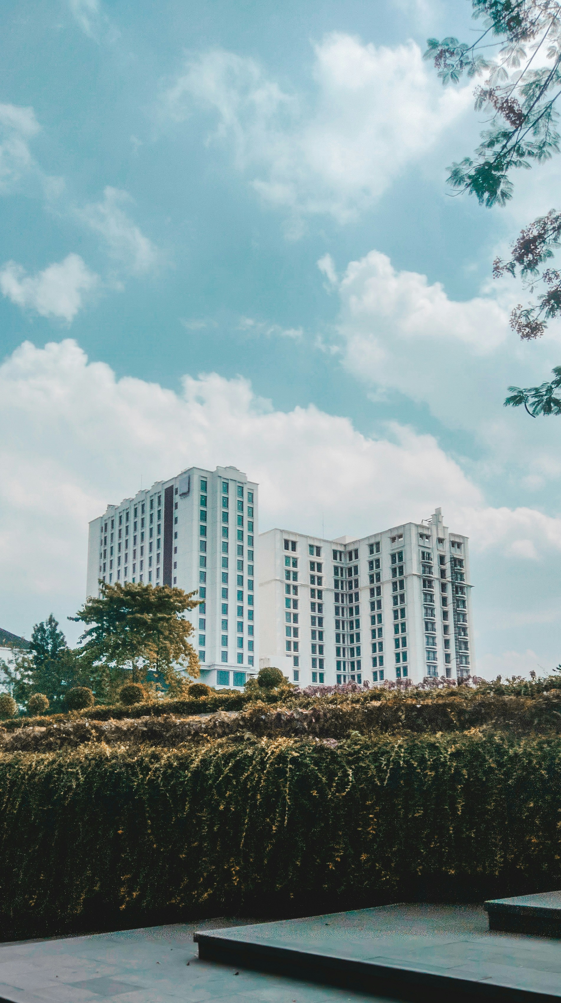 White high-rise buildings under white and blue skies photo – Free ...