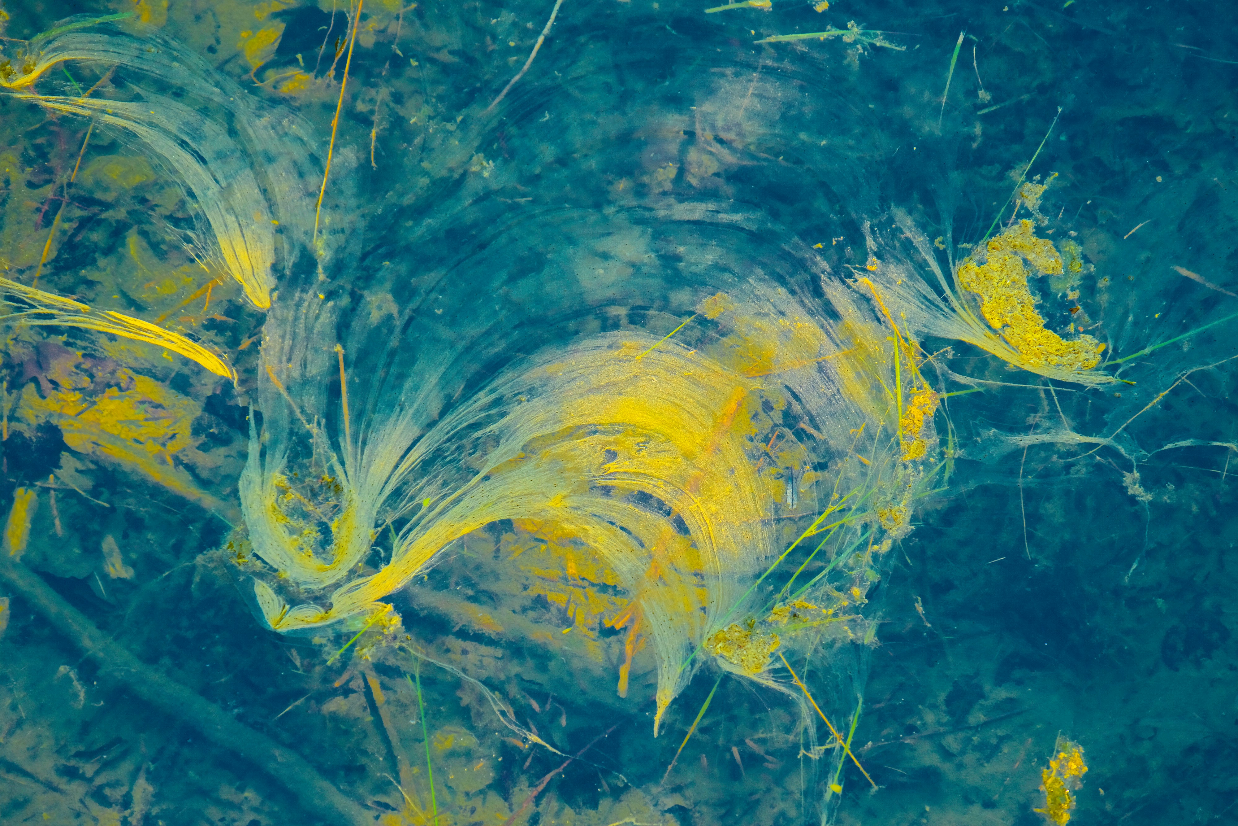 Abstract artwork photo – Free Abstract Image on Unsplash