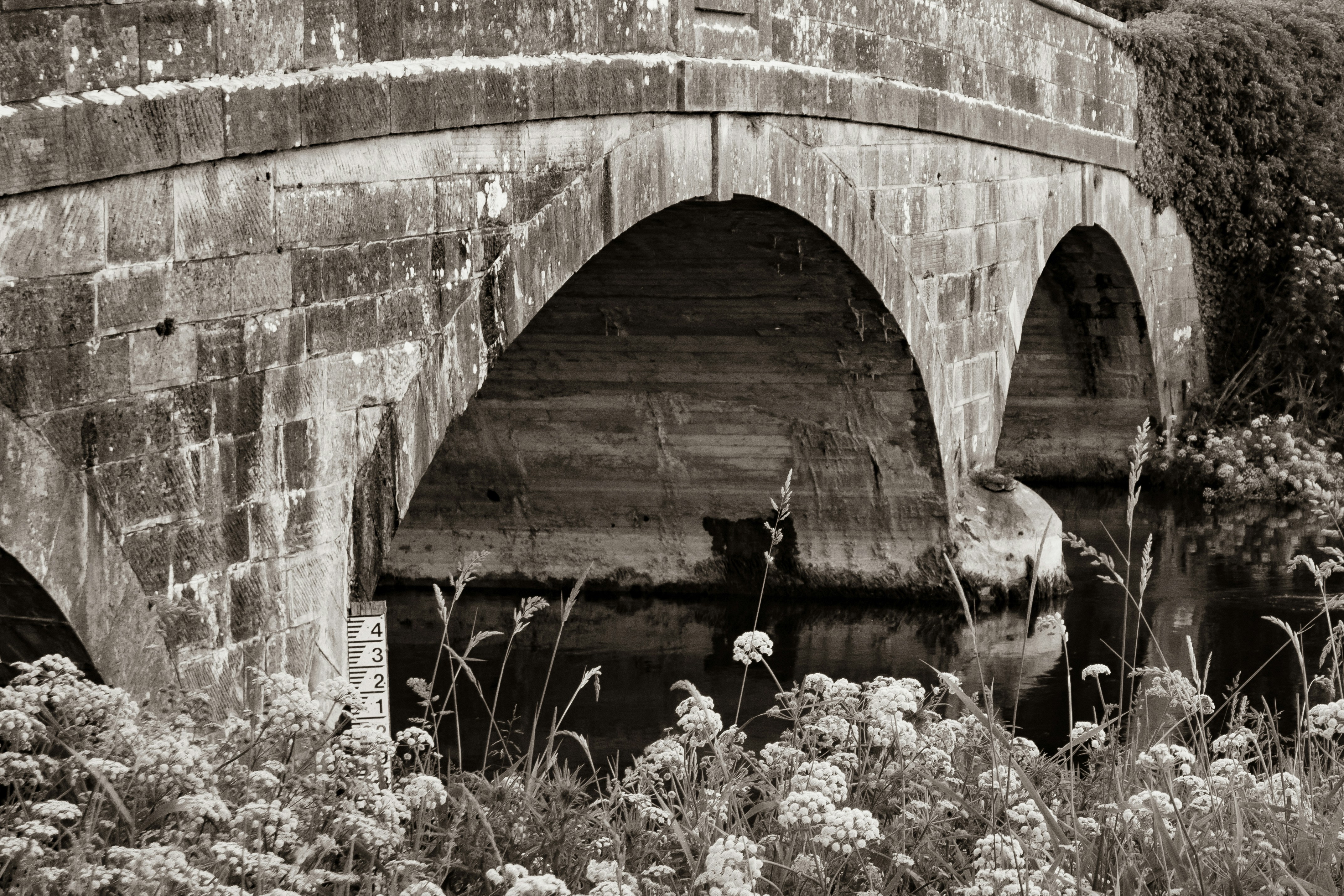 Archway Reverie: Wildflowers Framing a Weathered Stone Bridge
