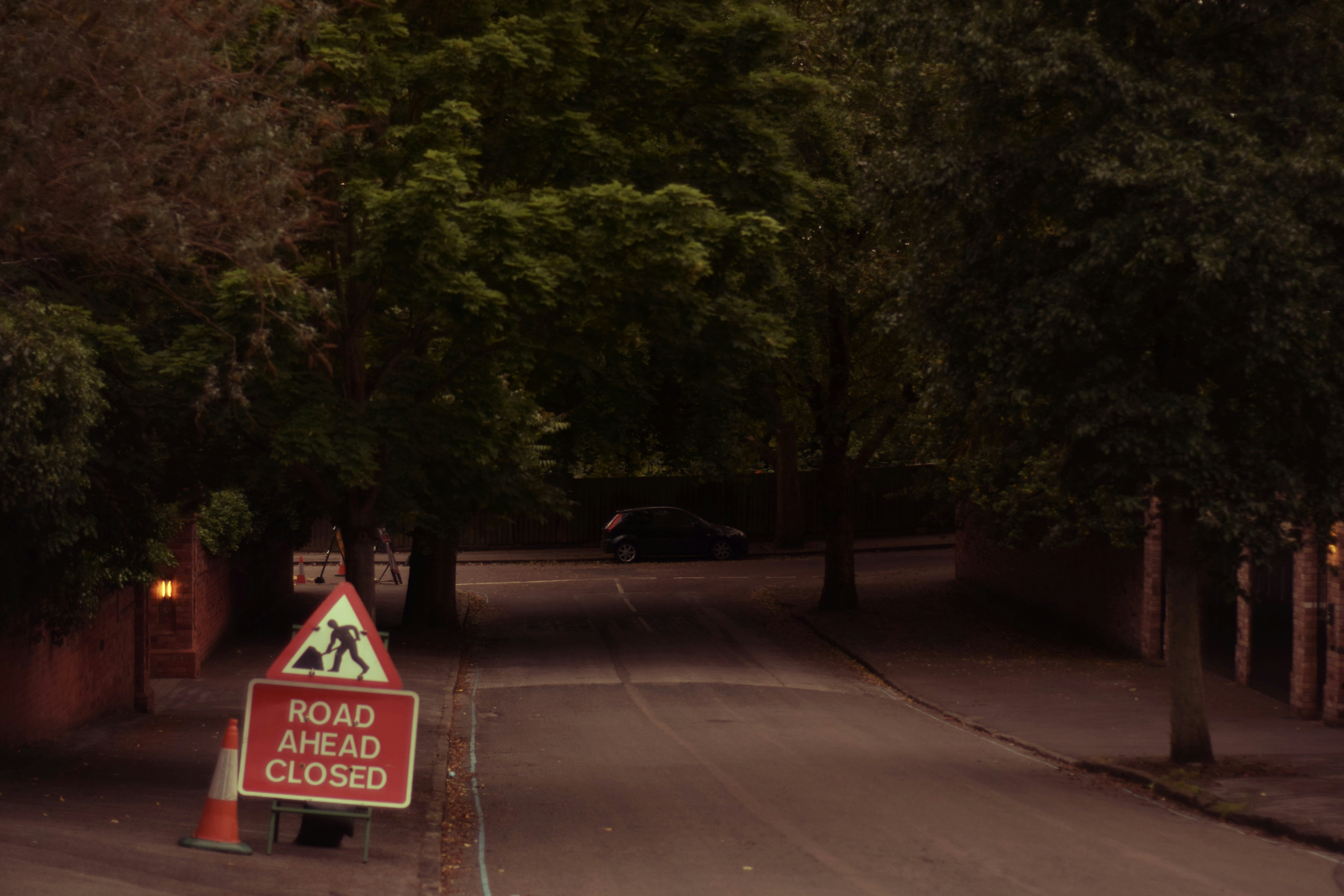 Night Detour under Street Lamps: A Road Closed Sign Framed by Shadowed Trees
