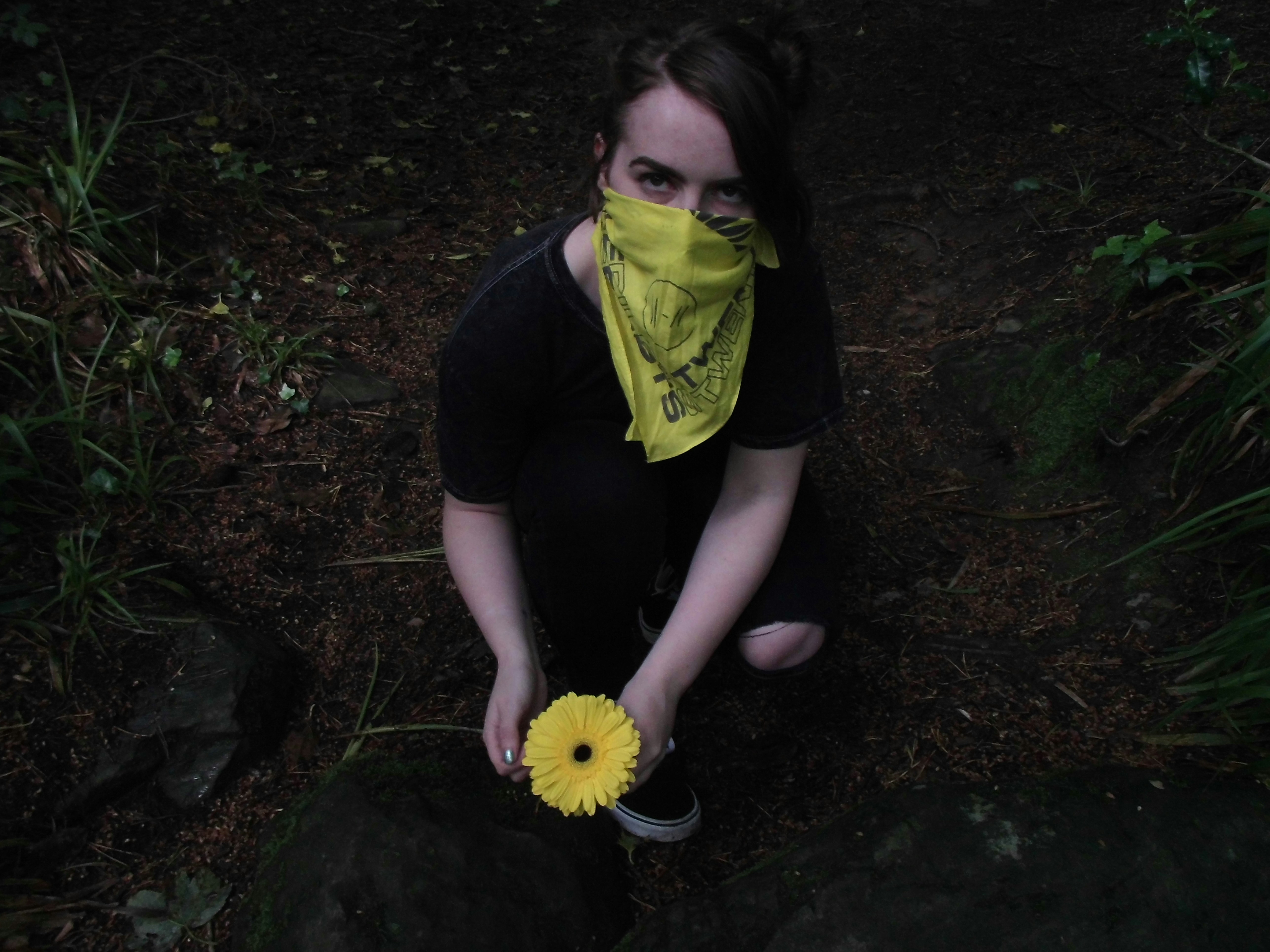 Sunflower in Shadow: A Portrait Under Quiet Forest Light