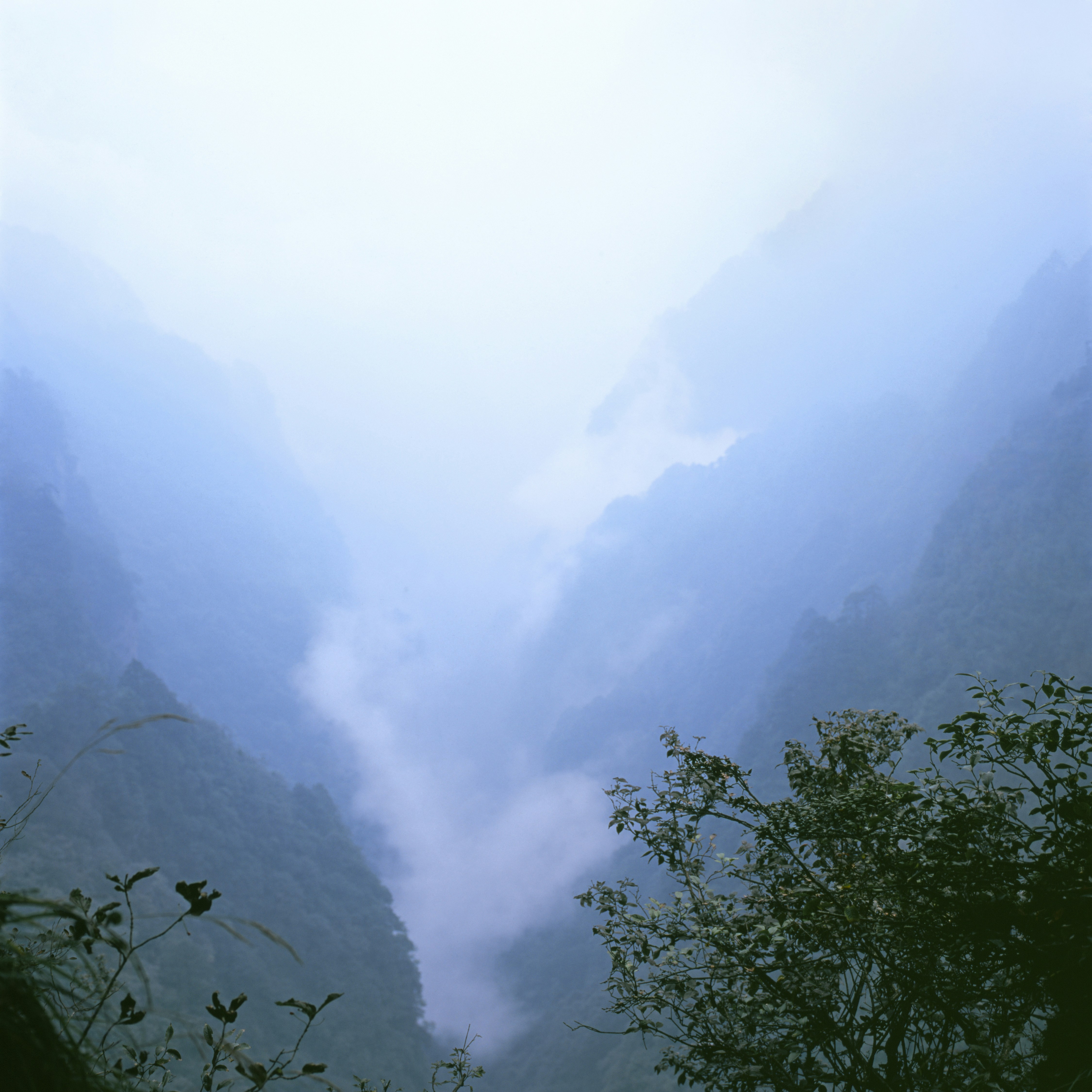 Fog enveloping steep mountain valleys, creating an ethereal atmosphere with hints of greenery peeking through the mist.