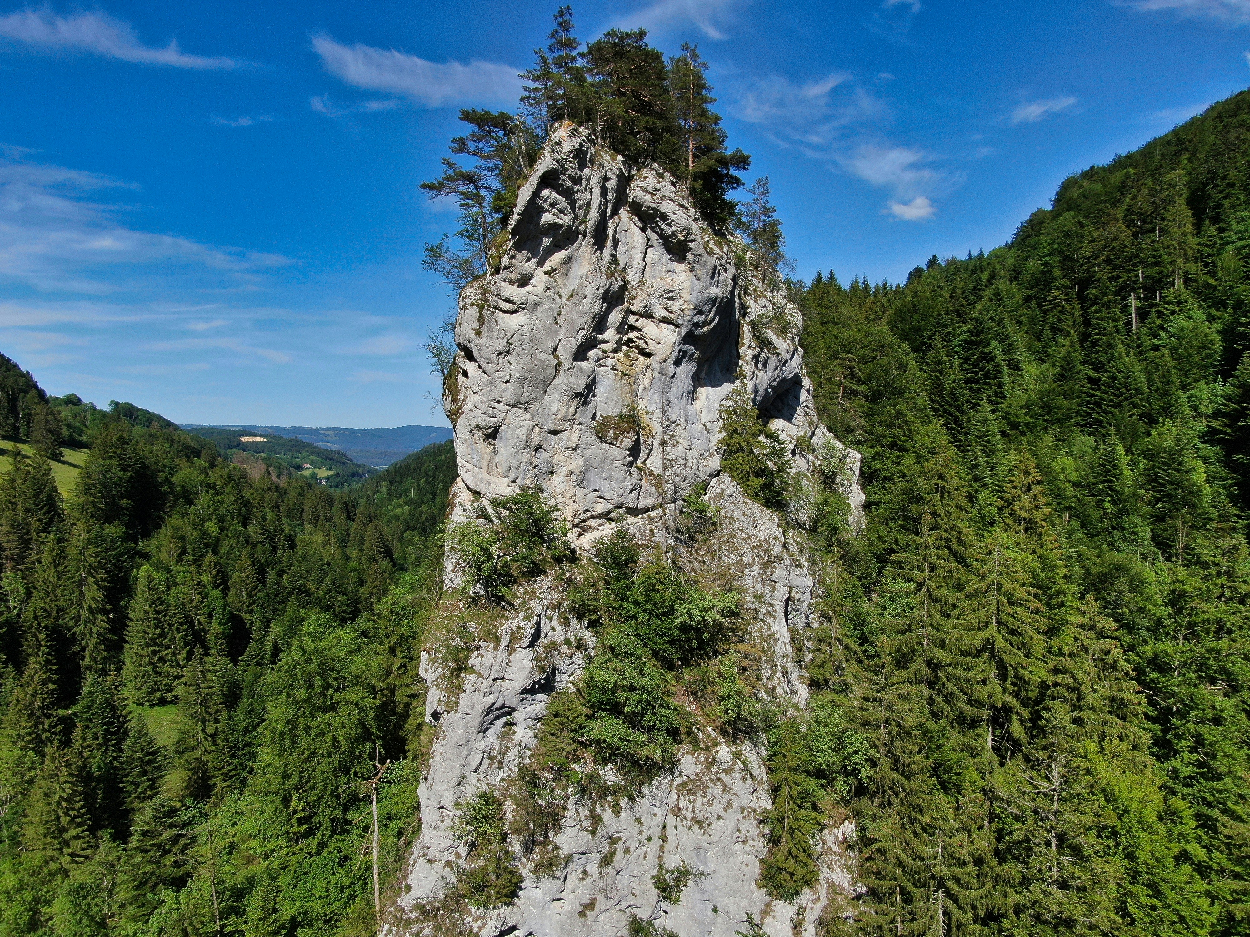 Stone Sentinel Rising Above the Pine Forest