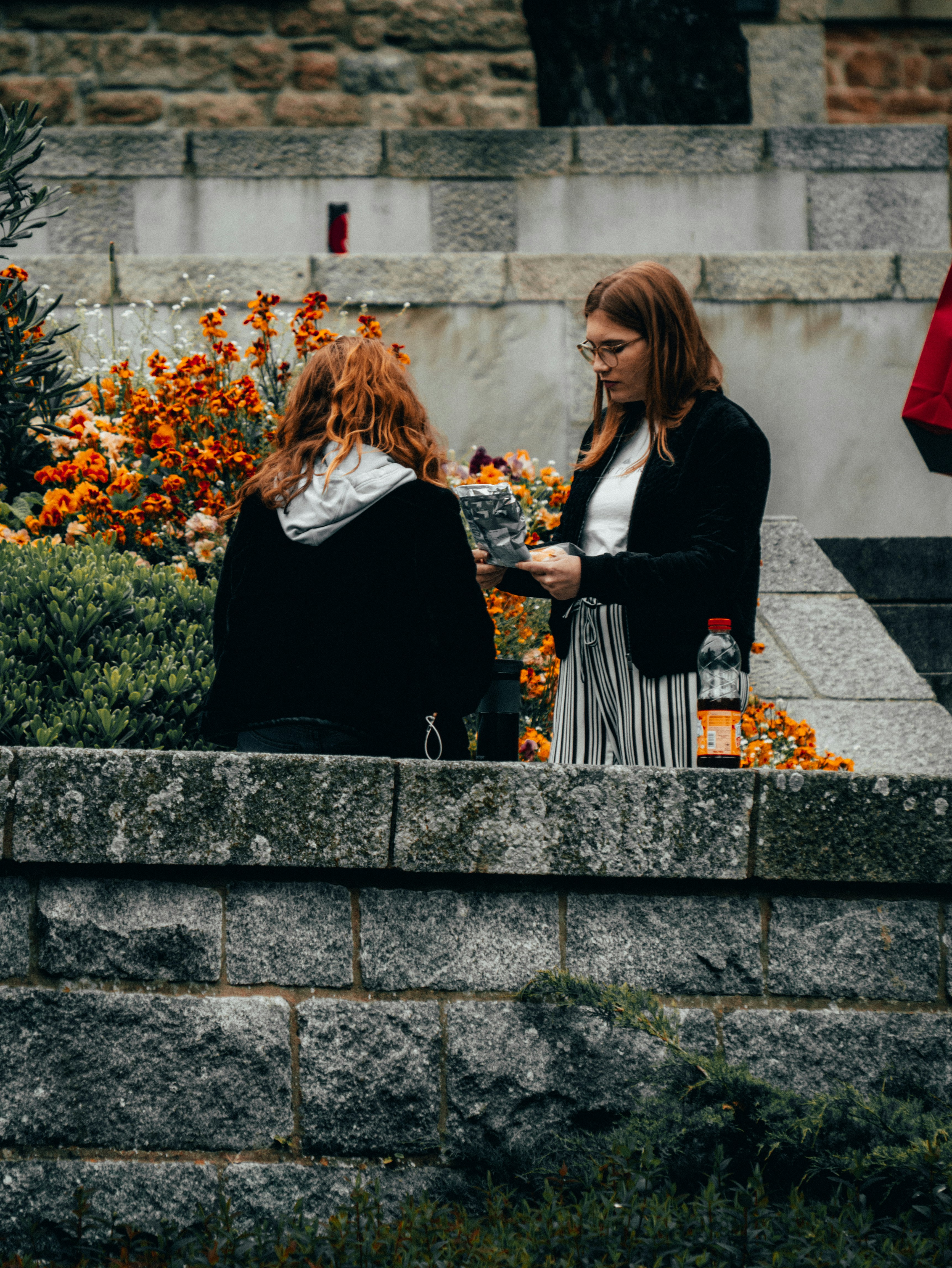 Woman reading beside woman sitting on concrete surface photo – Free ...