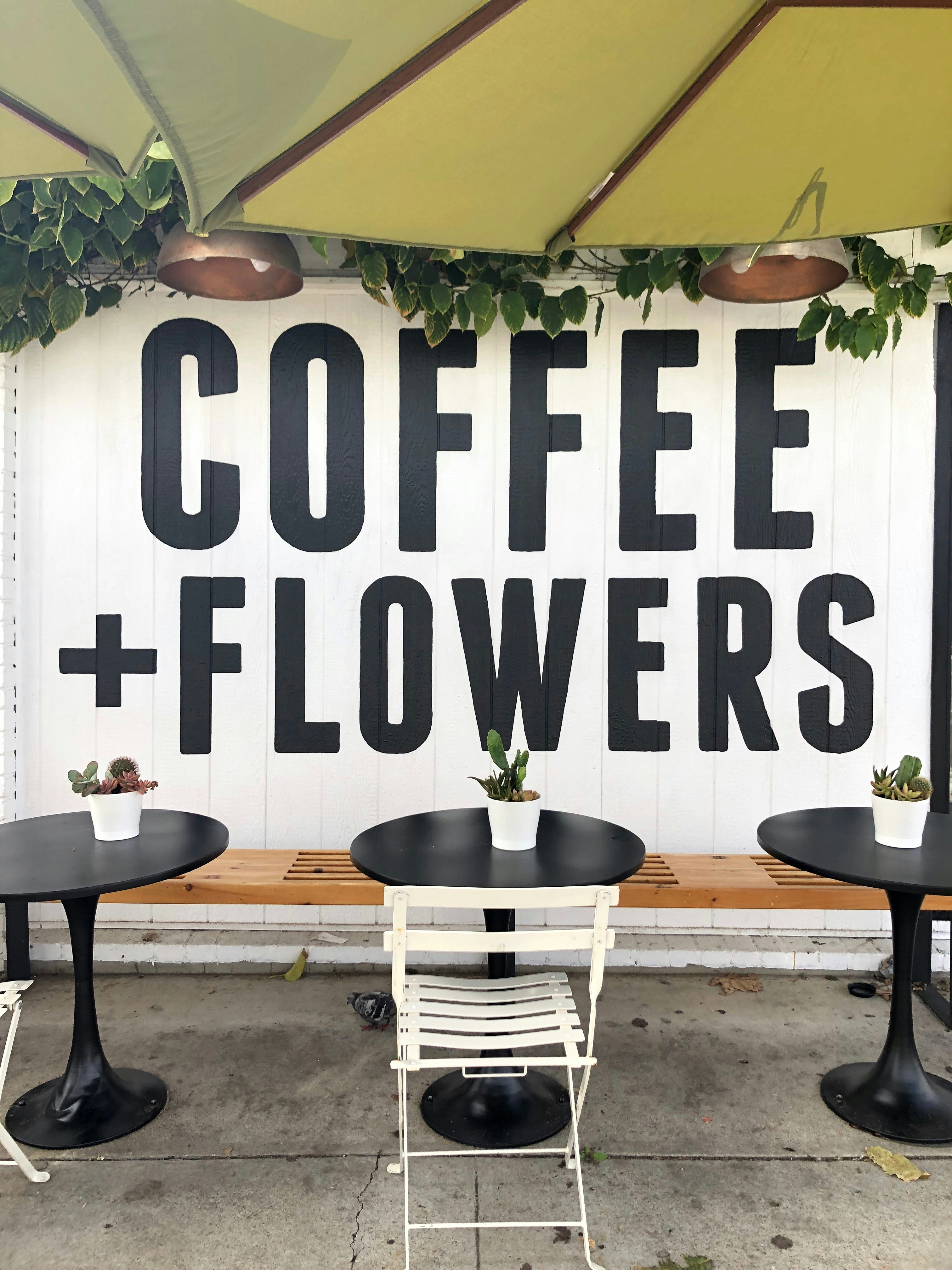 Coffee + Flowers: A Sunlit Café Front with Bold Signage