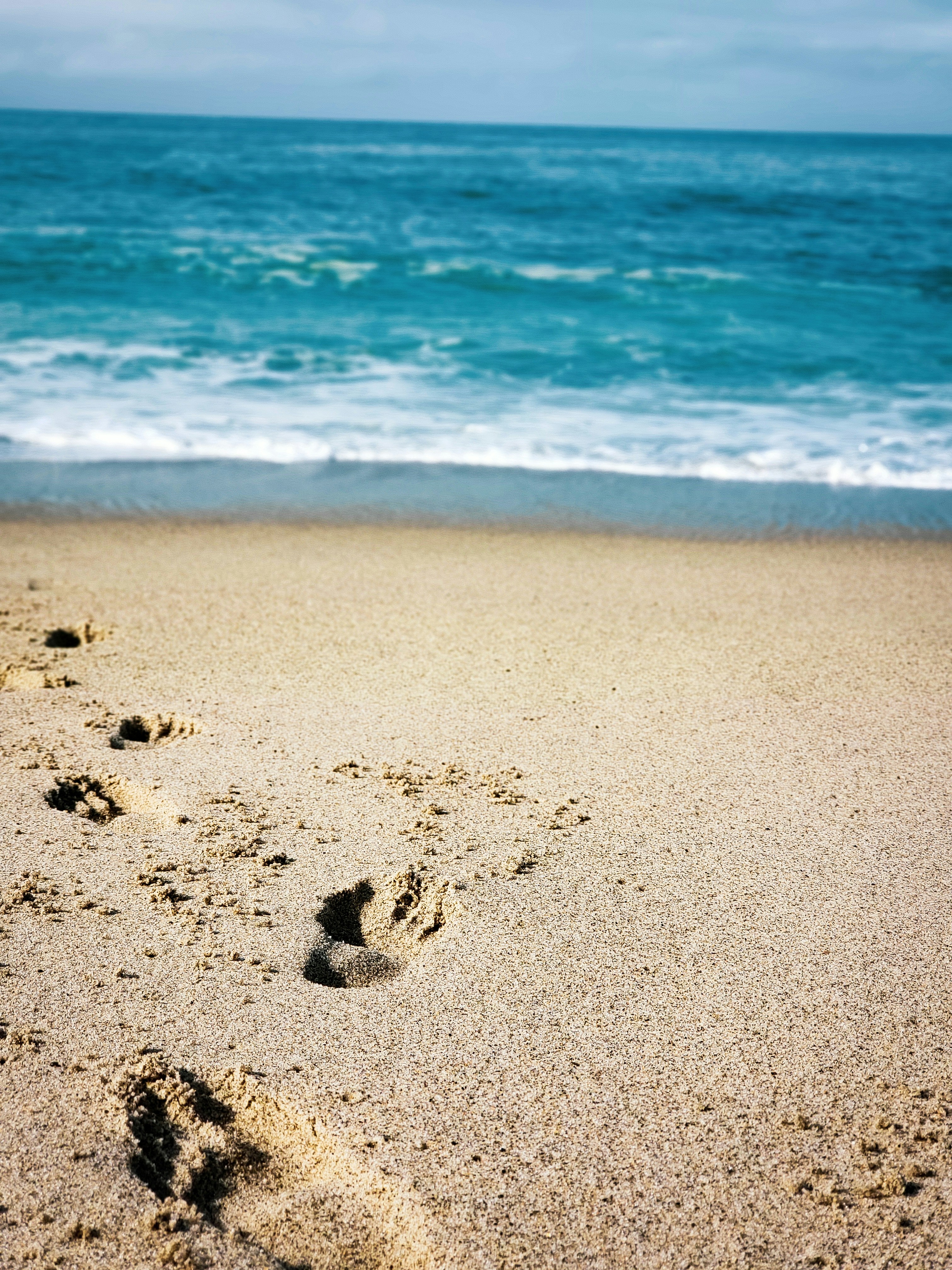 Impronte in riva al mare durante il giorno photo – Photo Le sable ...