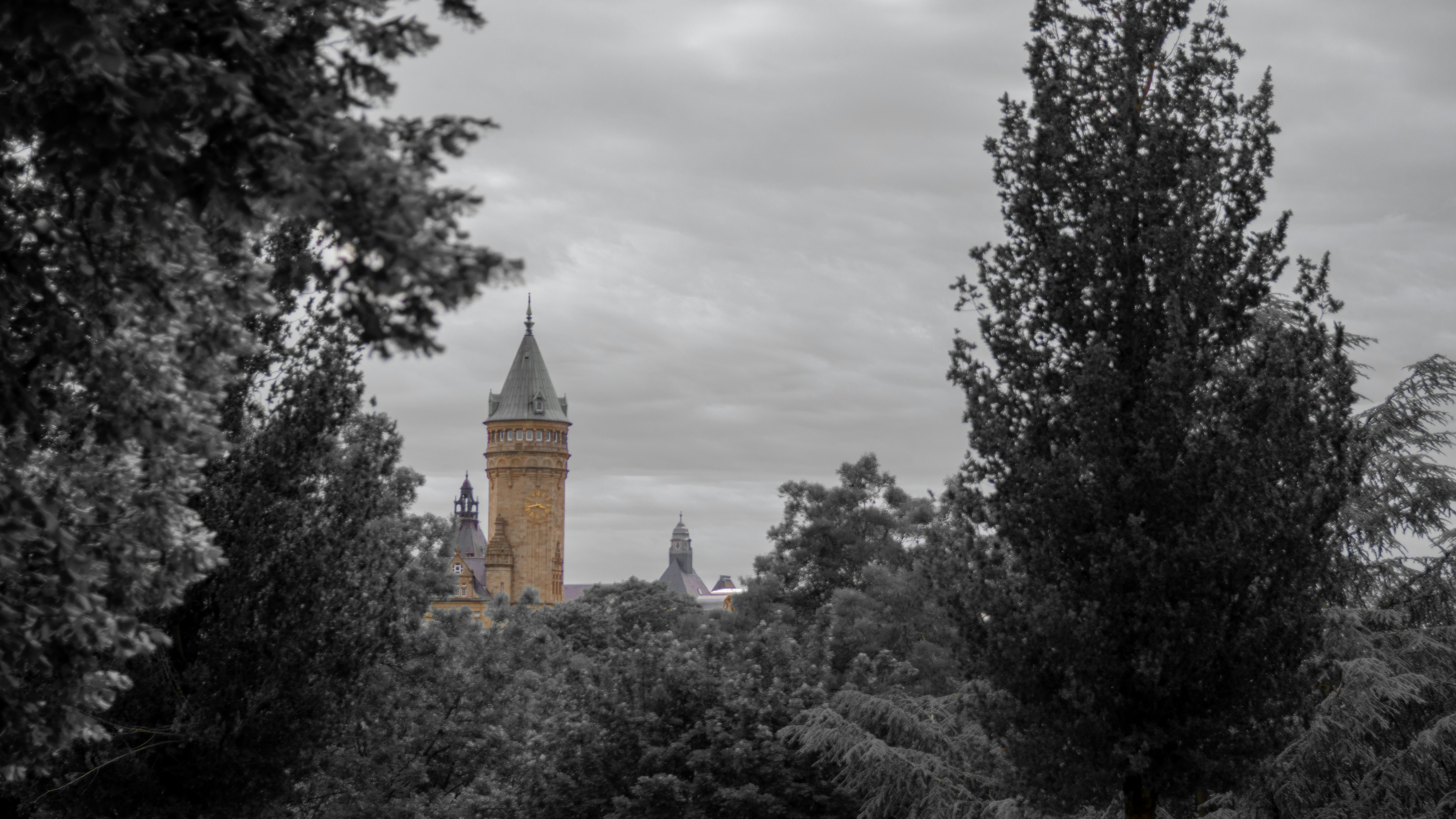 Brown castle photo – Free Grey Image on Unsplash