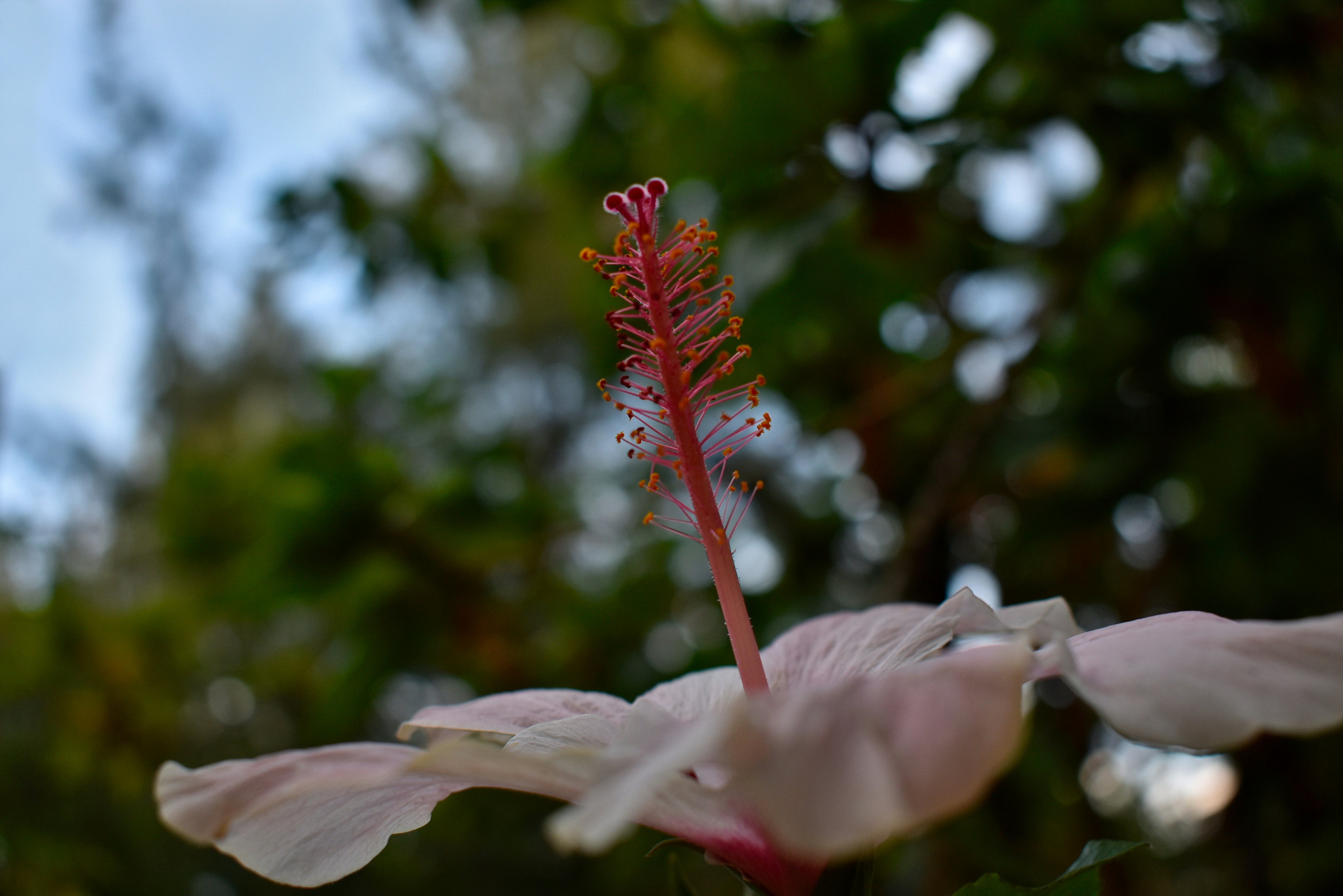 Ventin A (@ventin) | Comunidade de fotos da Unsplash