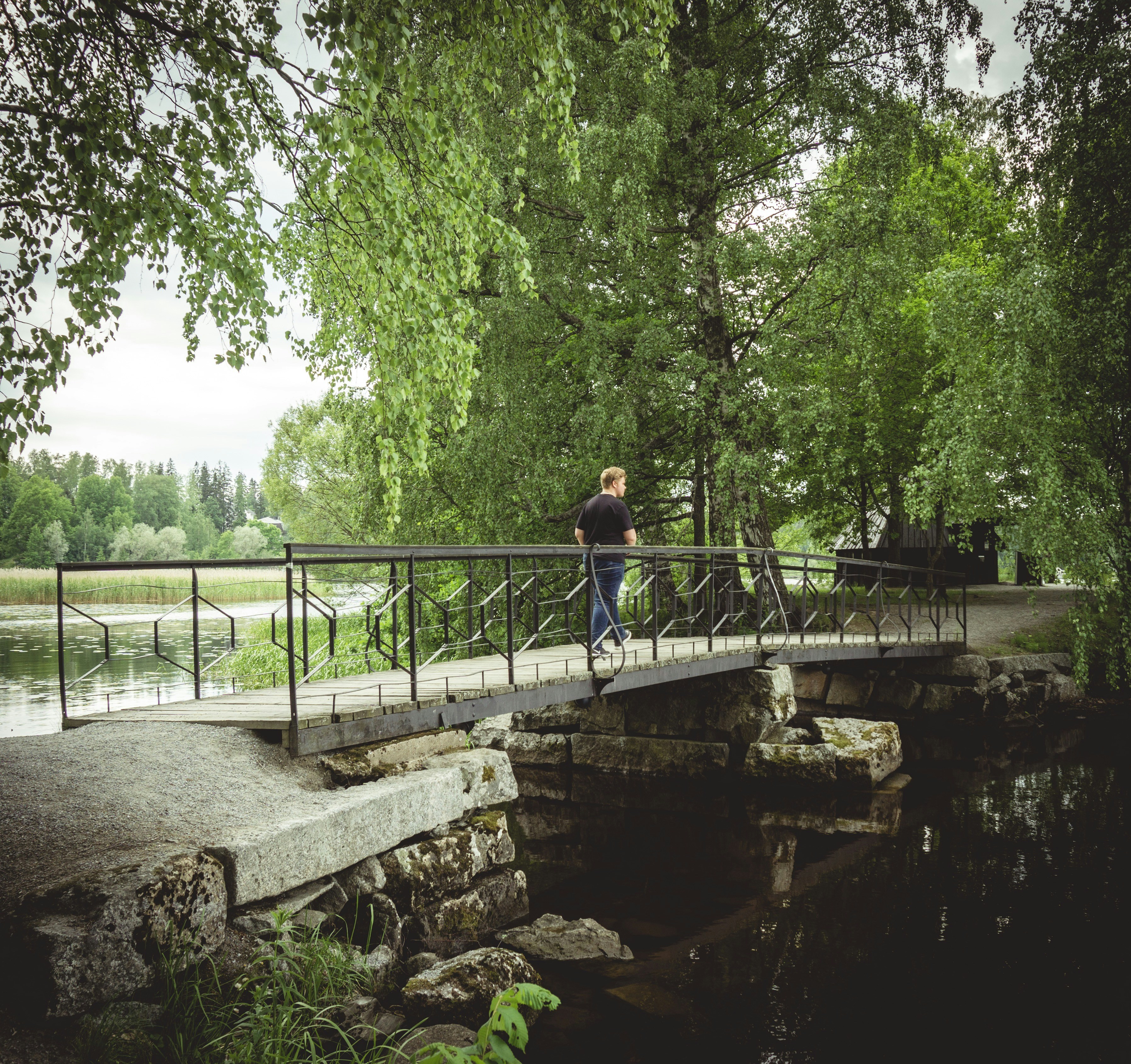 Lone Walker on a Quiet River Bridge Beneath a Spring Canopy