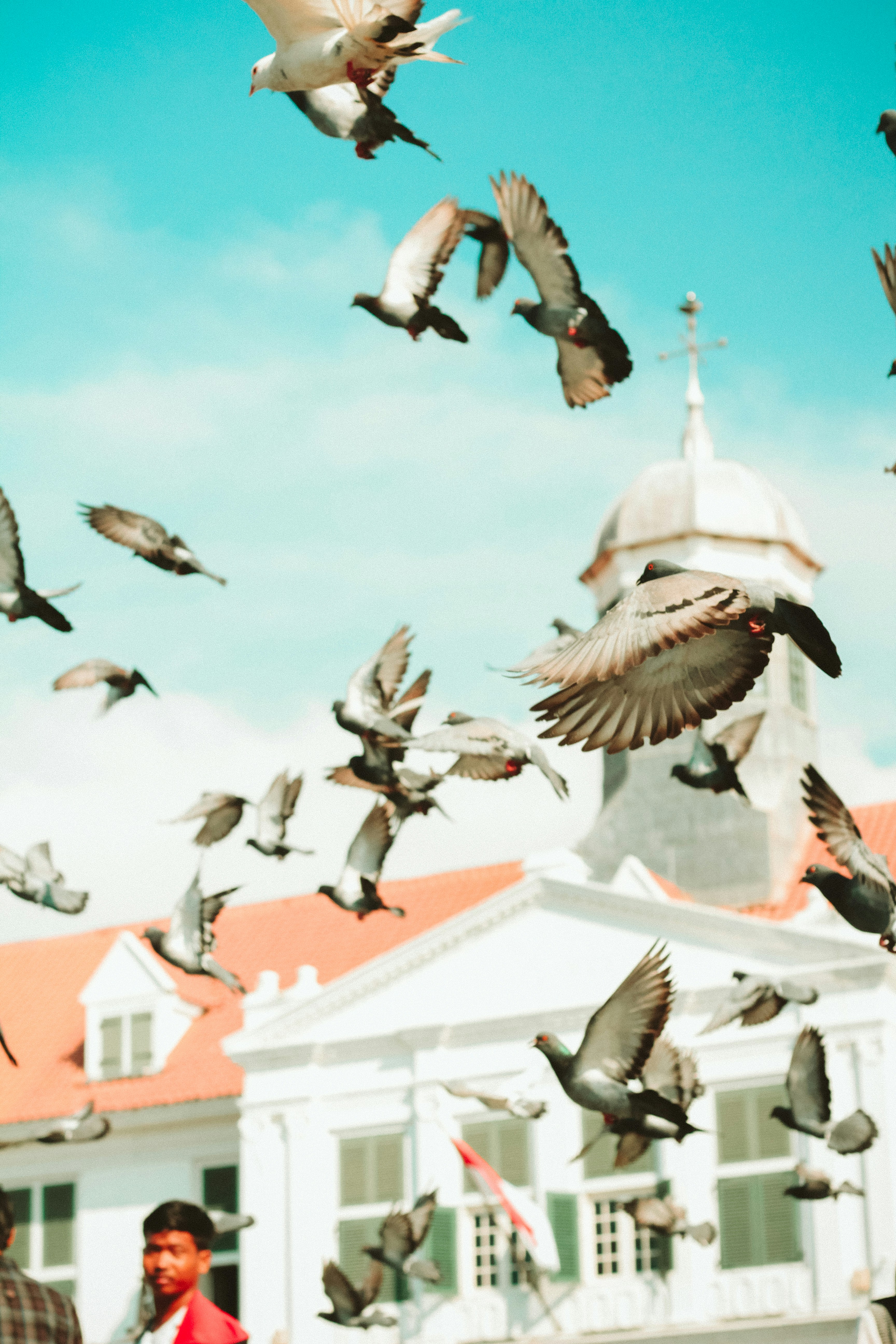 Pigeon Armada Over a White Town Hall with Red Roof Under a Turquoise Sky