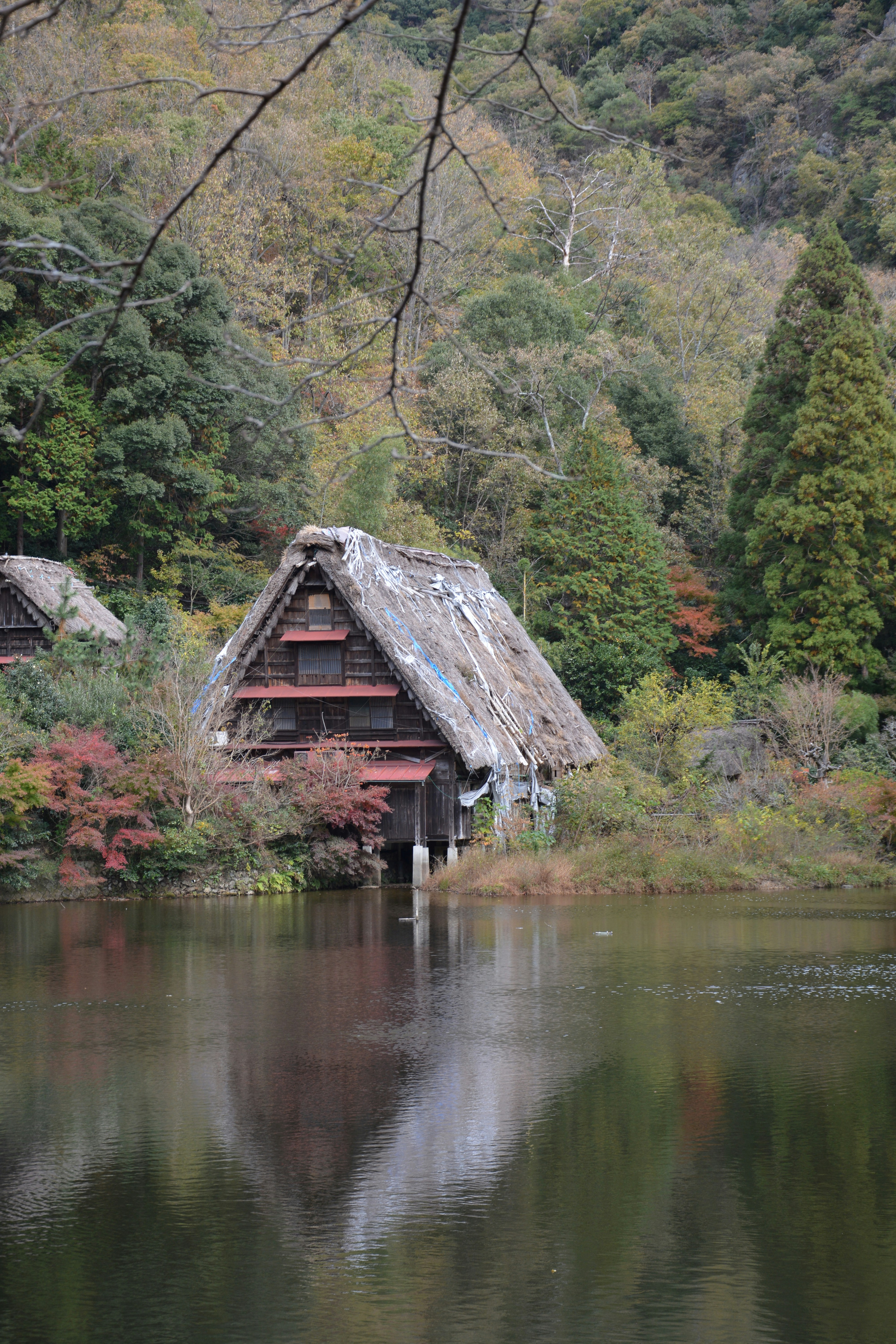 Traditional thatched-roof house reflecting in a tranquil pond, surrounded by autumn foliage.