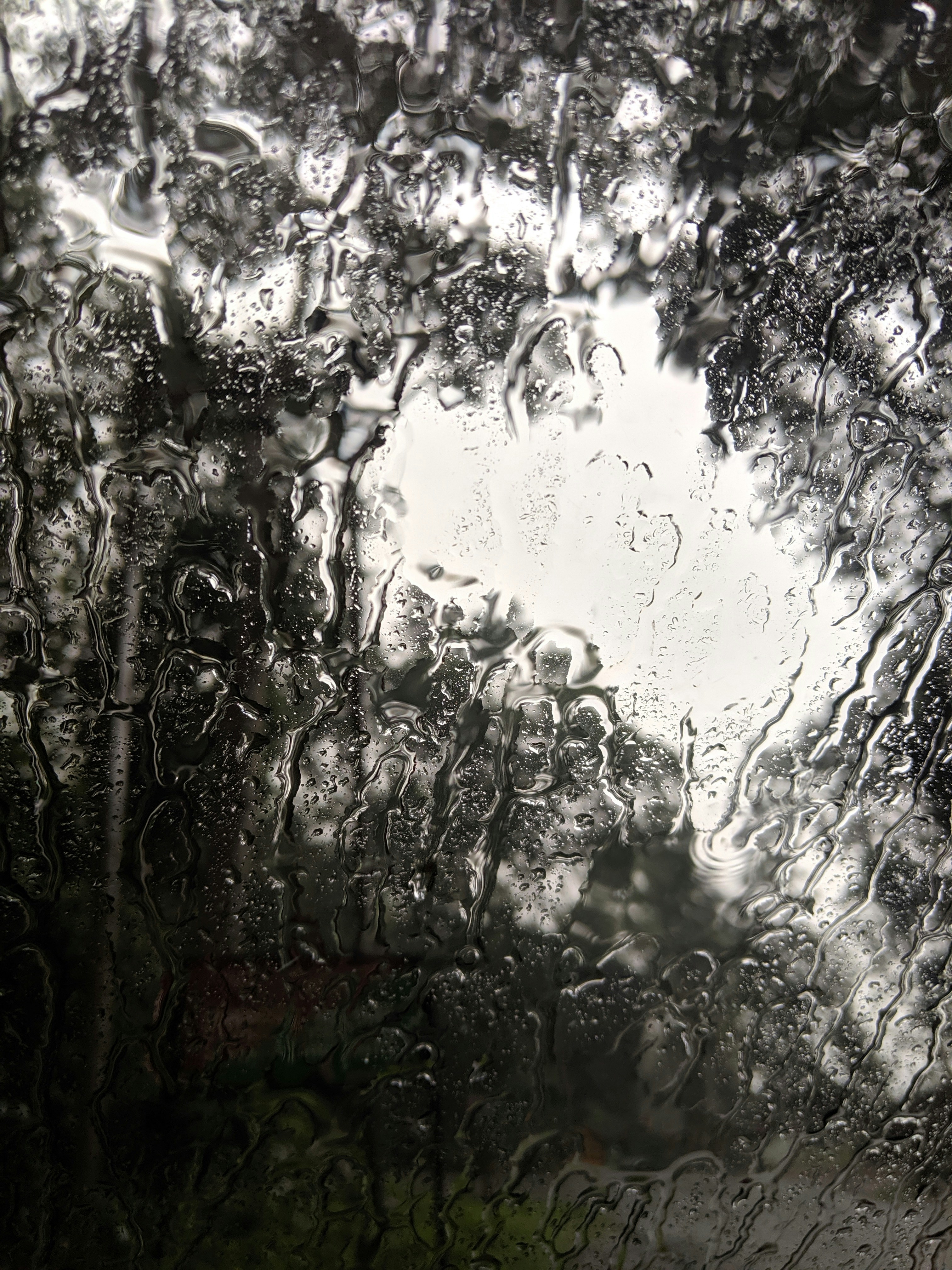 A rain covered window with trees in the background photo – Free ...