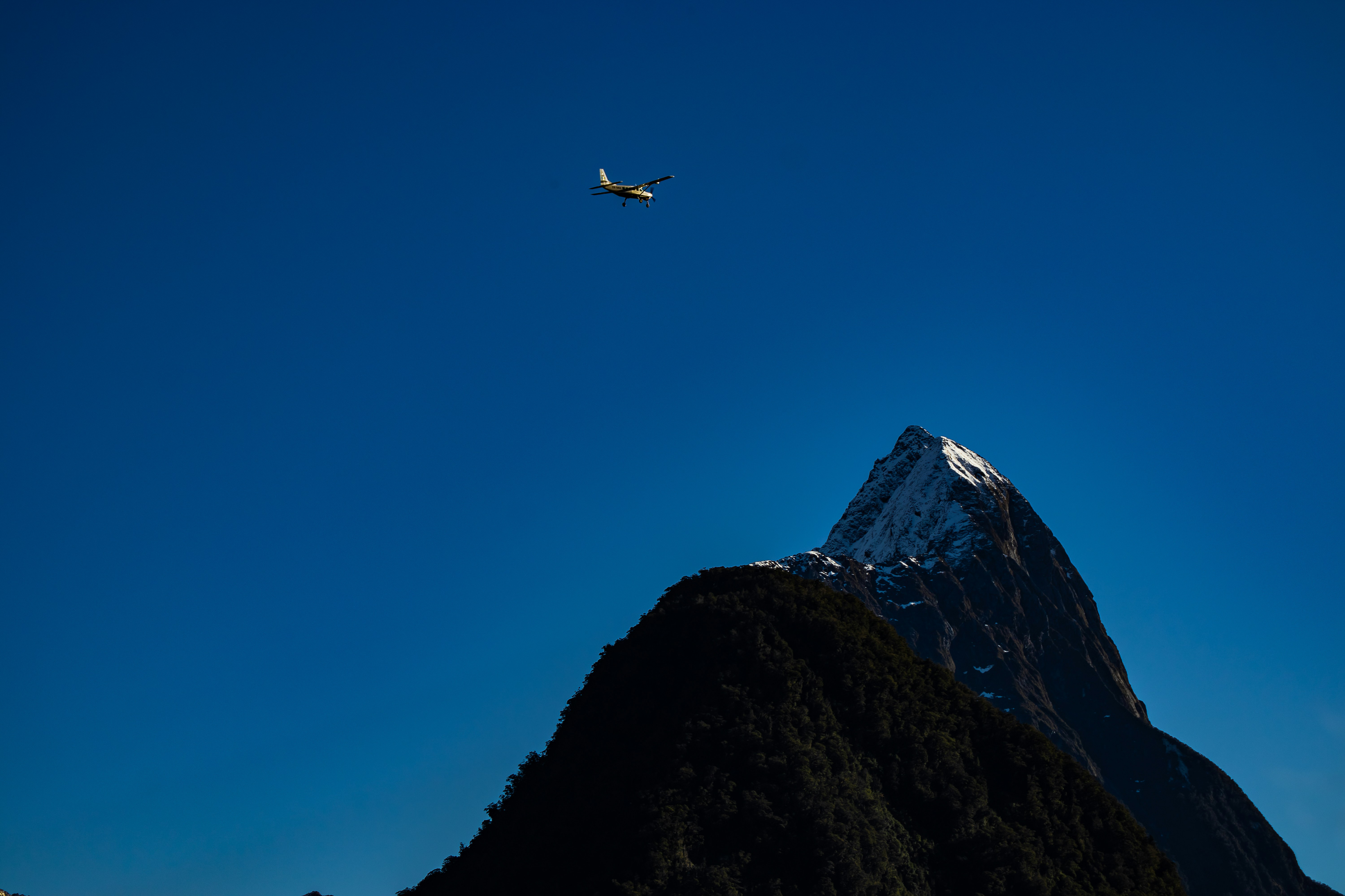 Bird flying near mountain photo – Free Blue Image on Unsplash