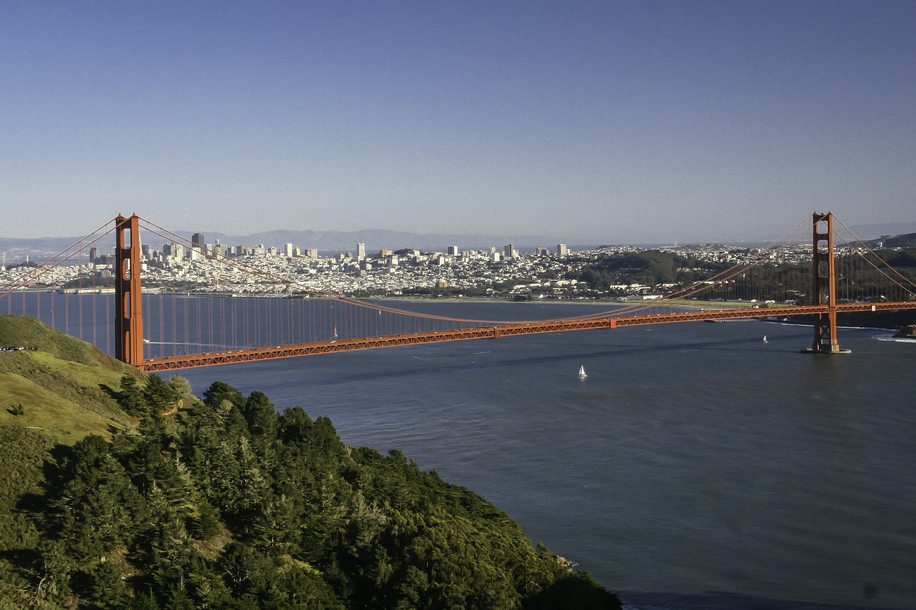 Golden Gate Bridge spanning the bay with San Francisco's skyline in the background, framed by lush greenery. 