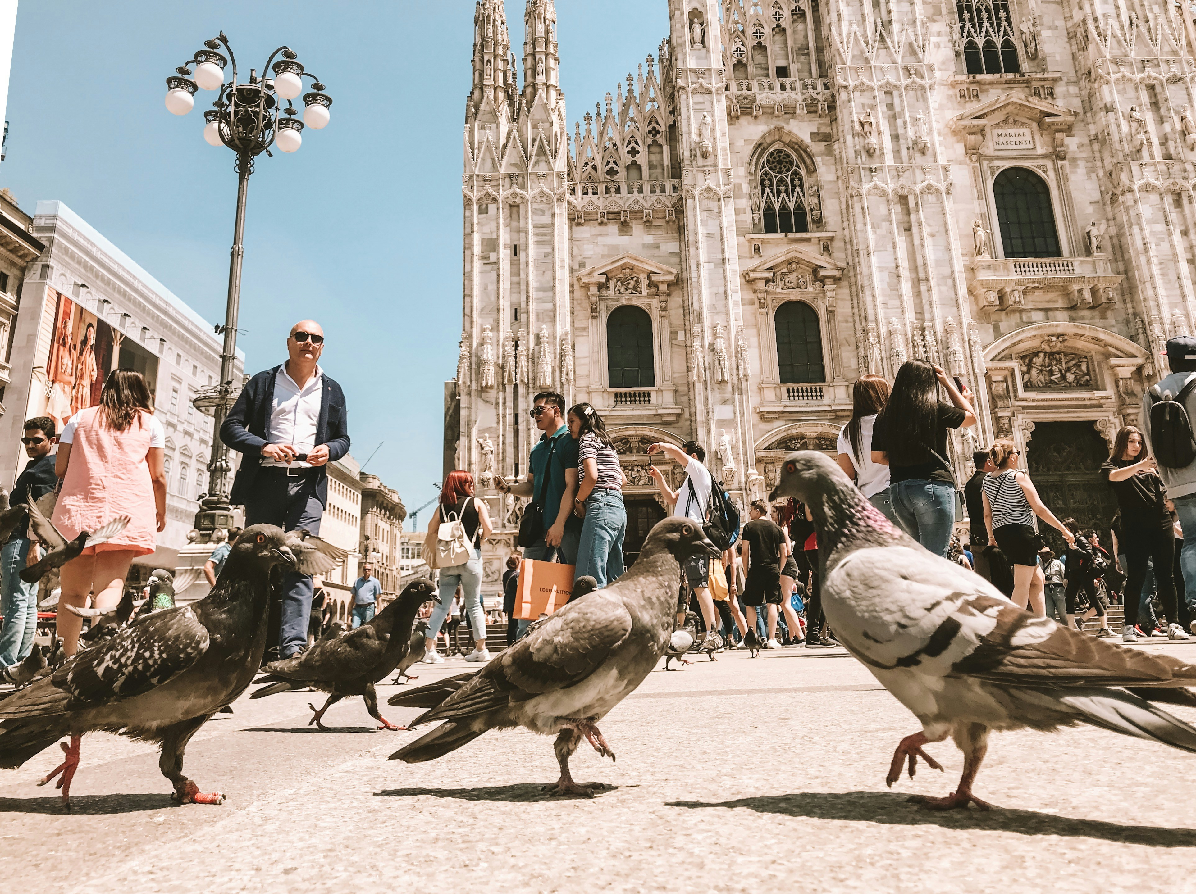 Pigeons and the Duomo: City Stroll Amid Ornate Giants