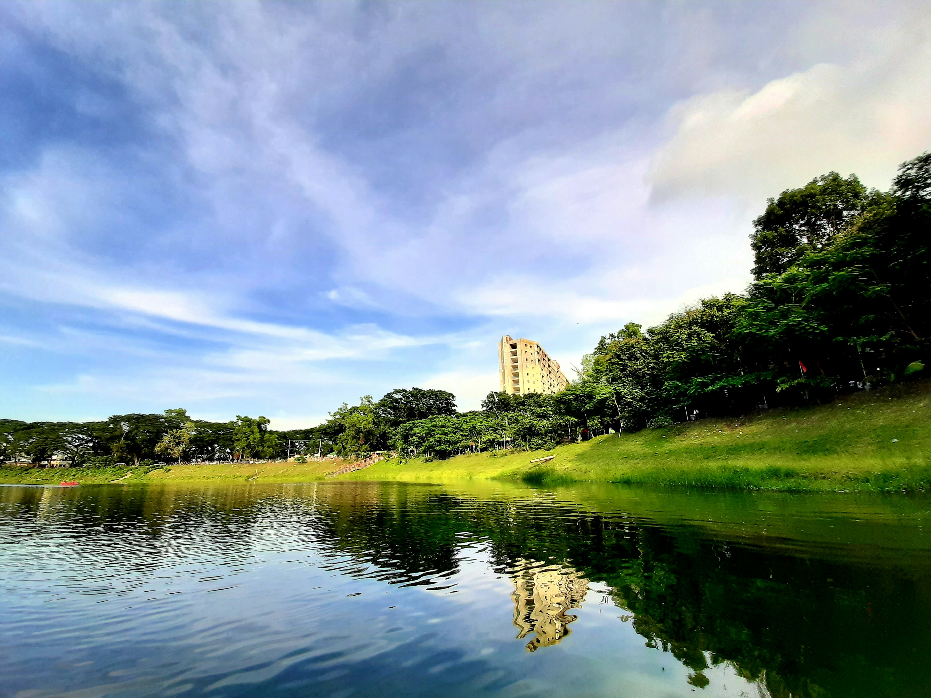 White high rise building near trees in beach photo – Free Nature Image ...
