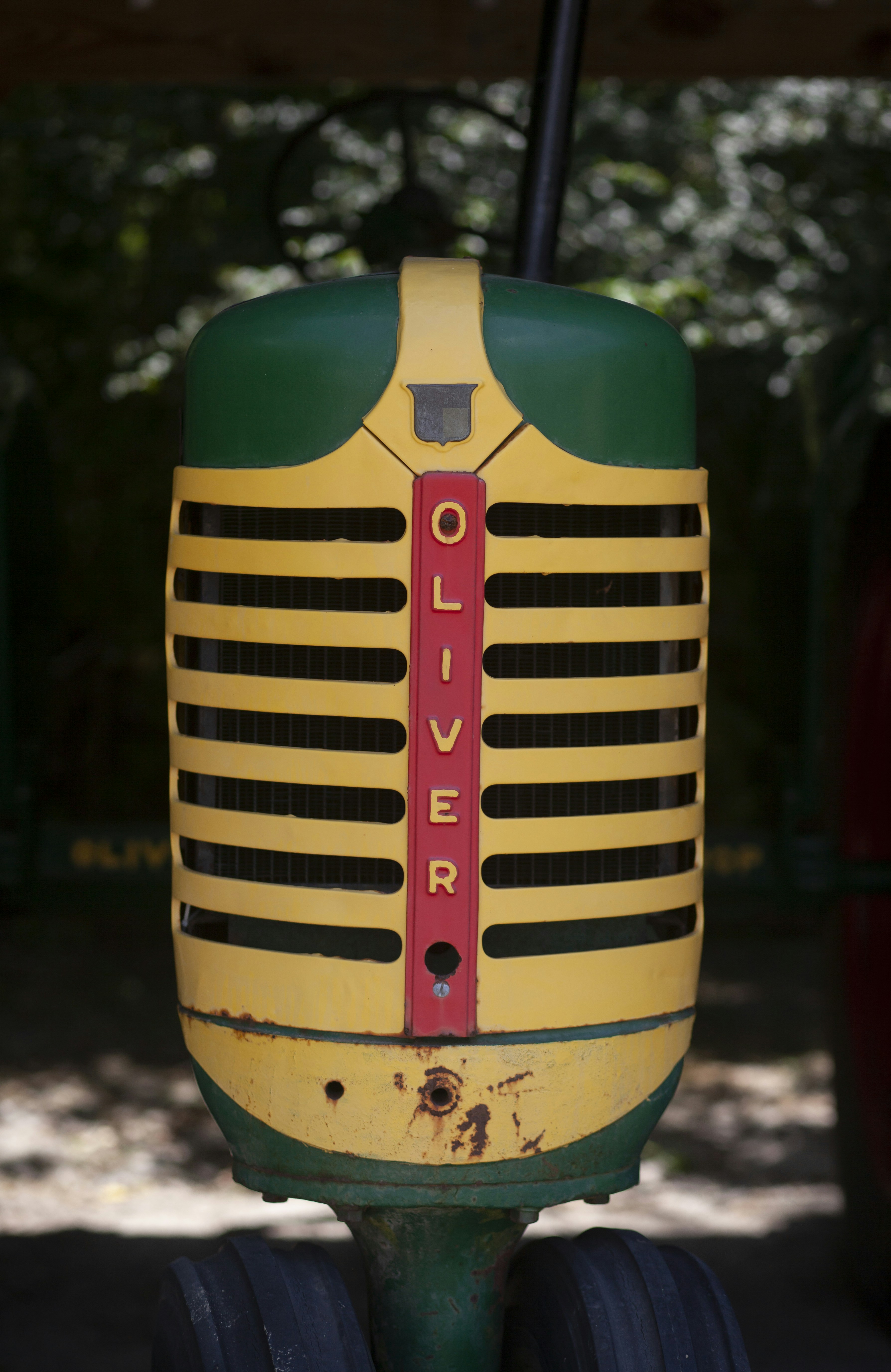 Oliver’s Retro Grille: A Close-Up on Color and Character