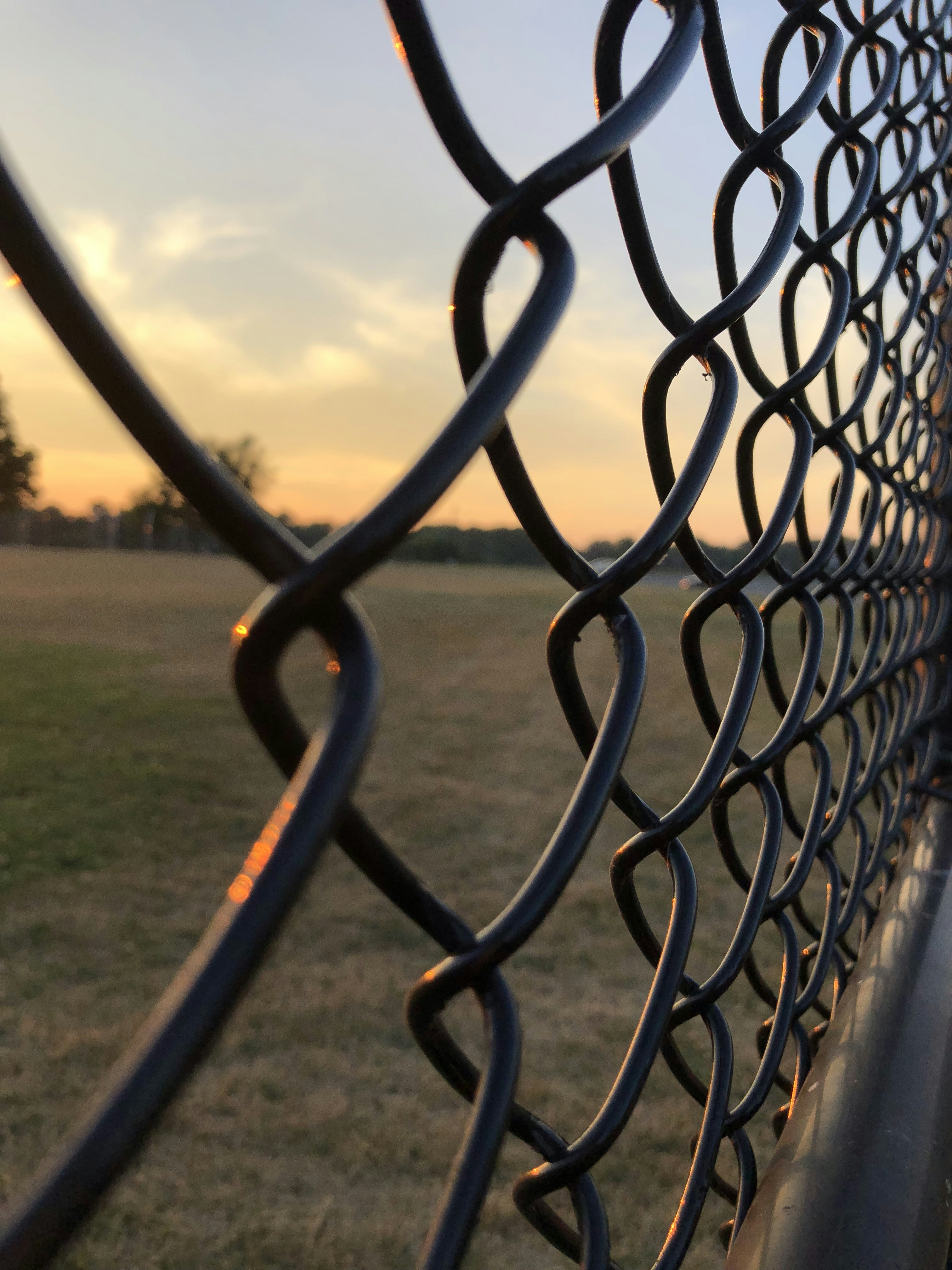 gray metal chain link fence viewing green round