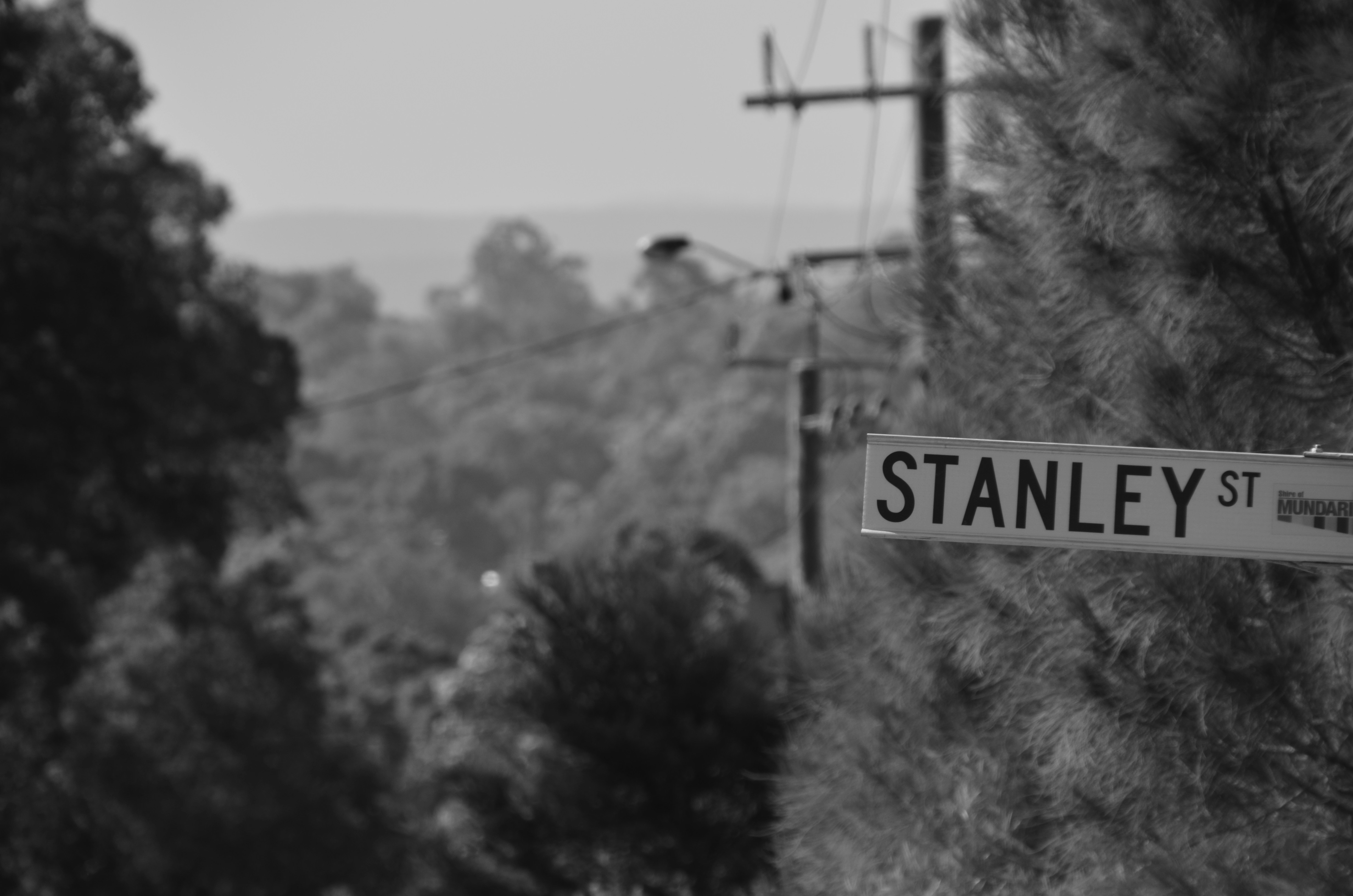 Grayscale photography of Stanley st signage photo – Free Grey Image on ...