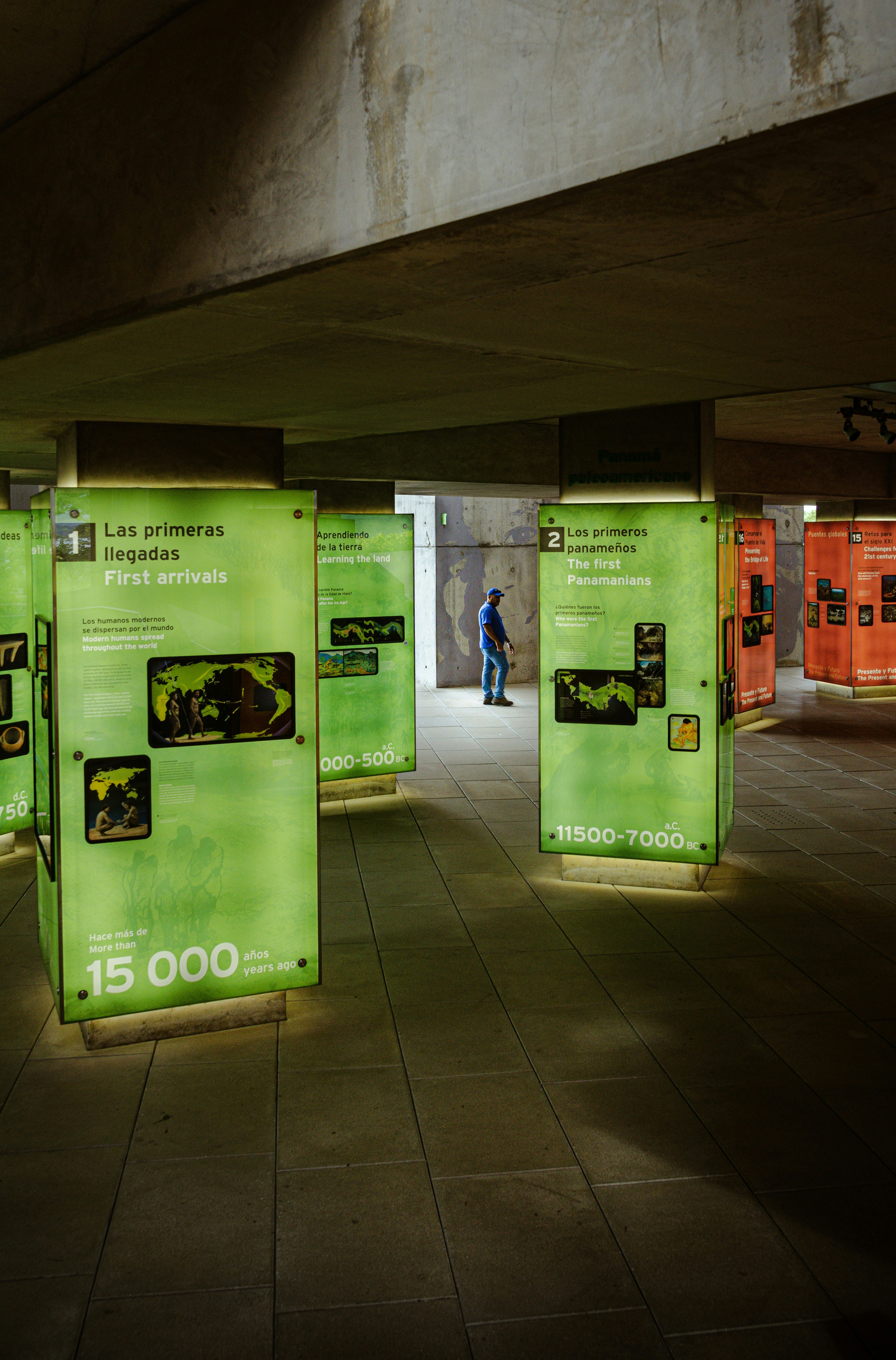 Assorted-colro mock-up standees photo – Free Building Image on Unsplash