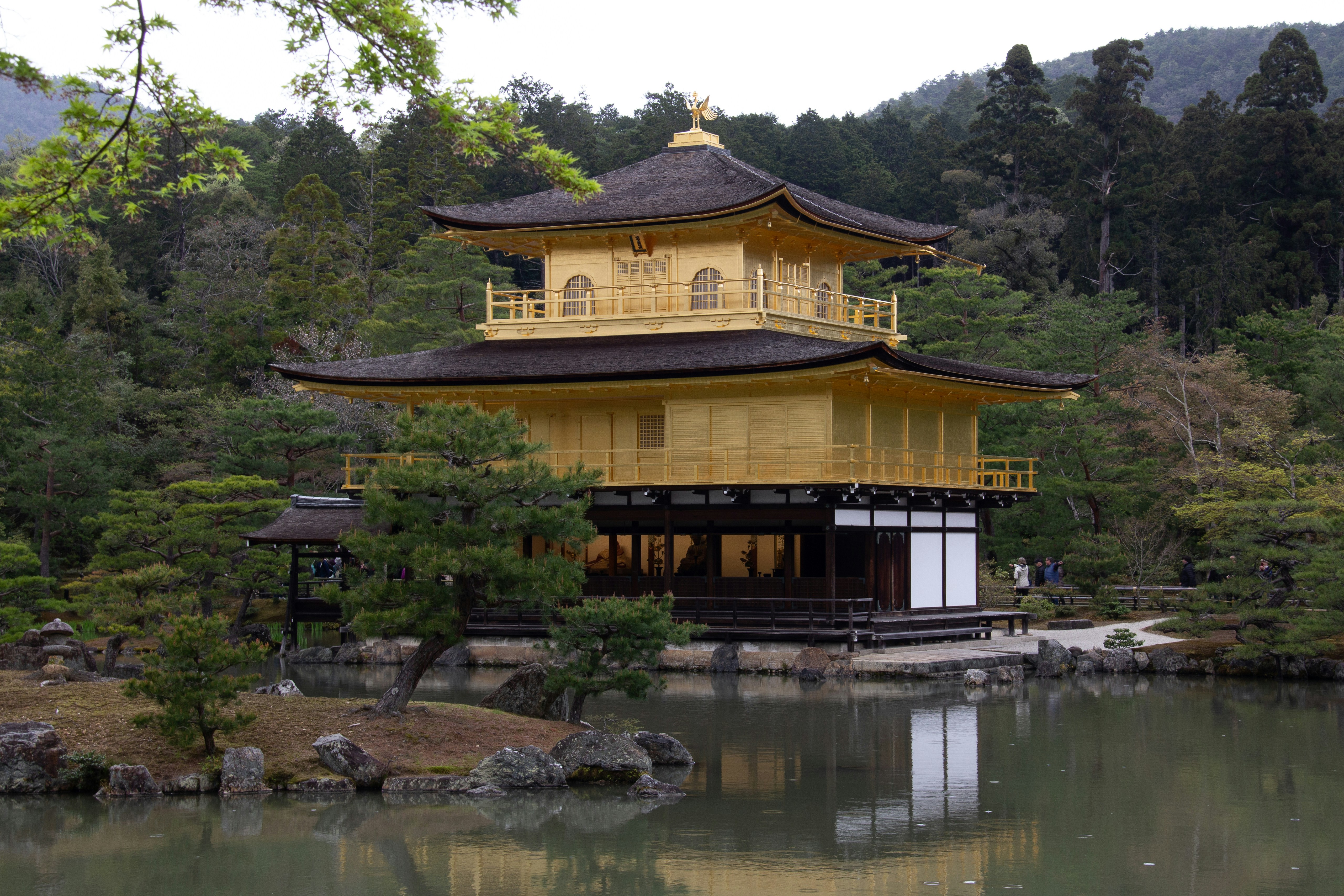 Yellow 2-storey temple surrounded by trees photo – Free Temple Image on ...