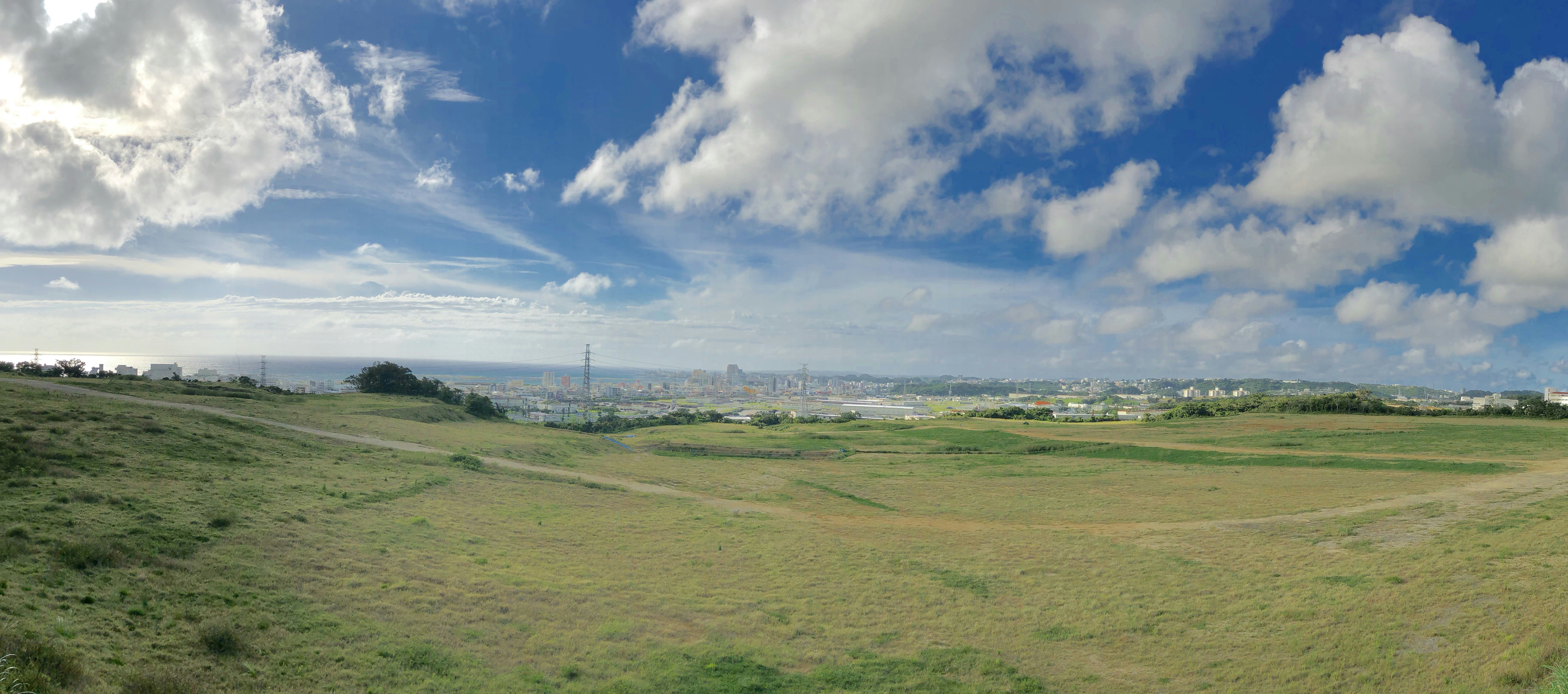 Expansive green field meets a distant ocean under a sky filled with fluffy clouds.