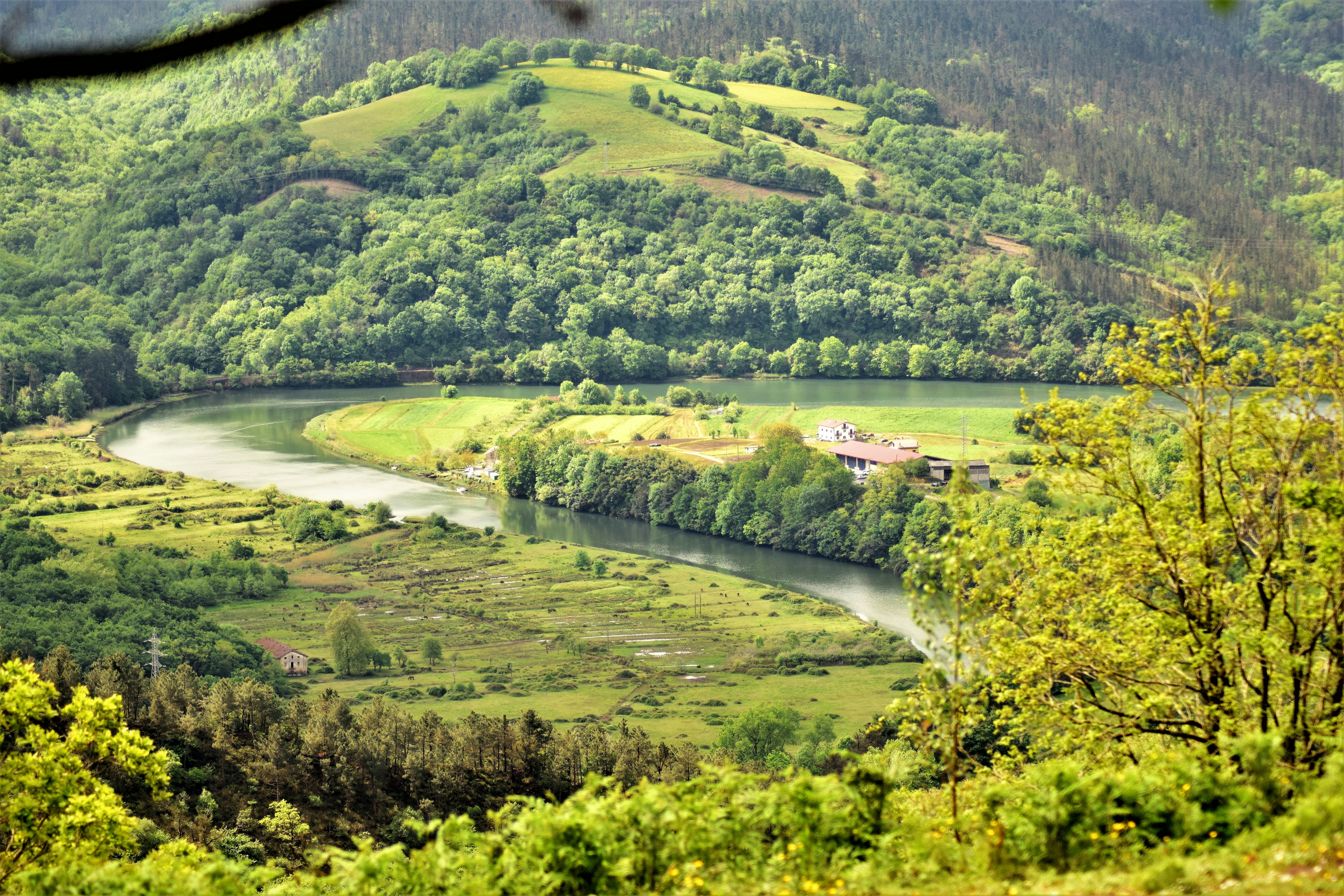 river flowing through verdant valley