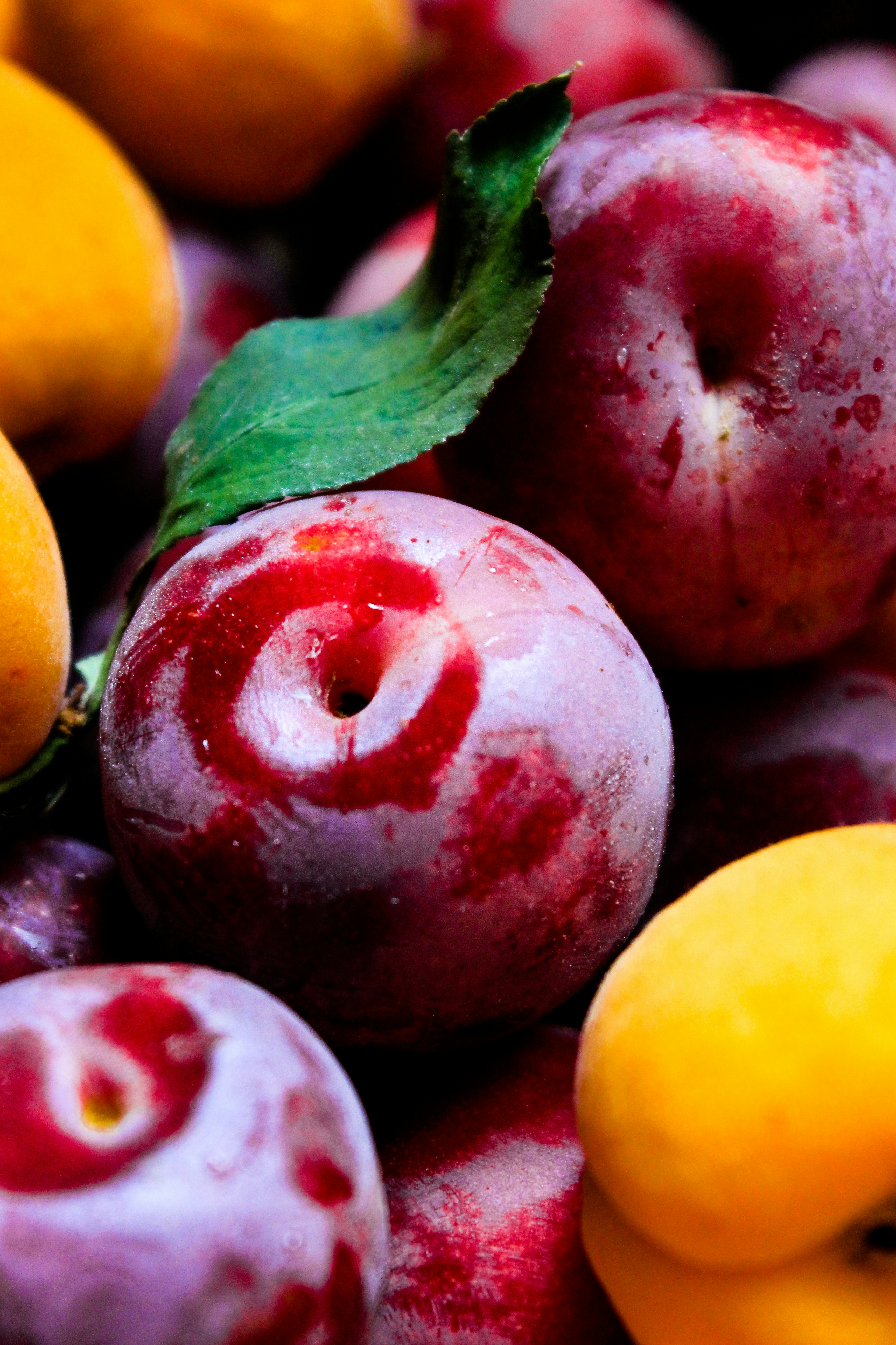 Selective focus photography of red and yellow fruits photo – Free Plant ...