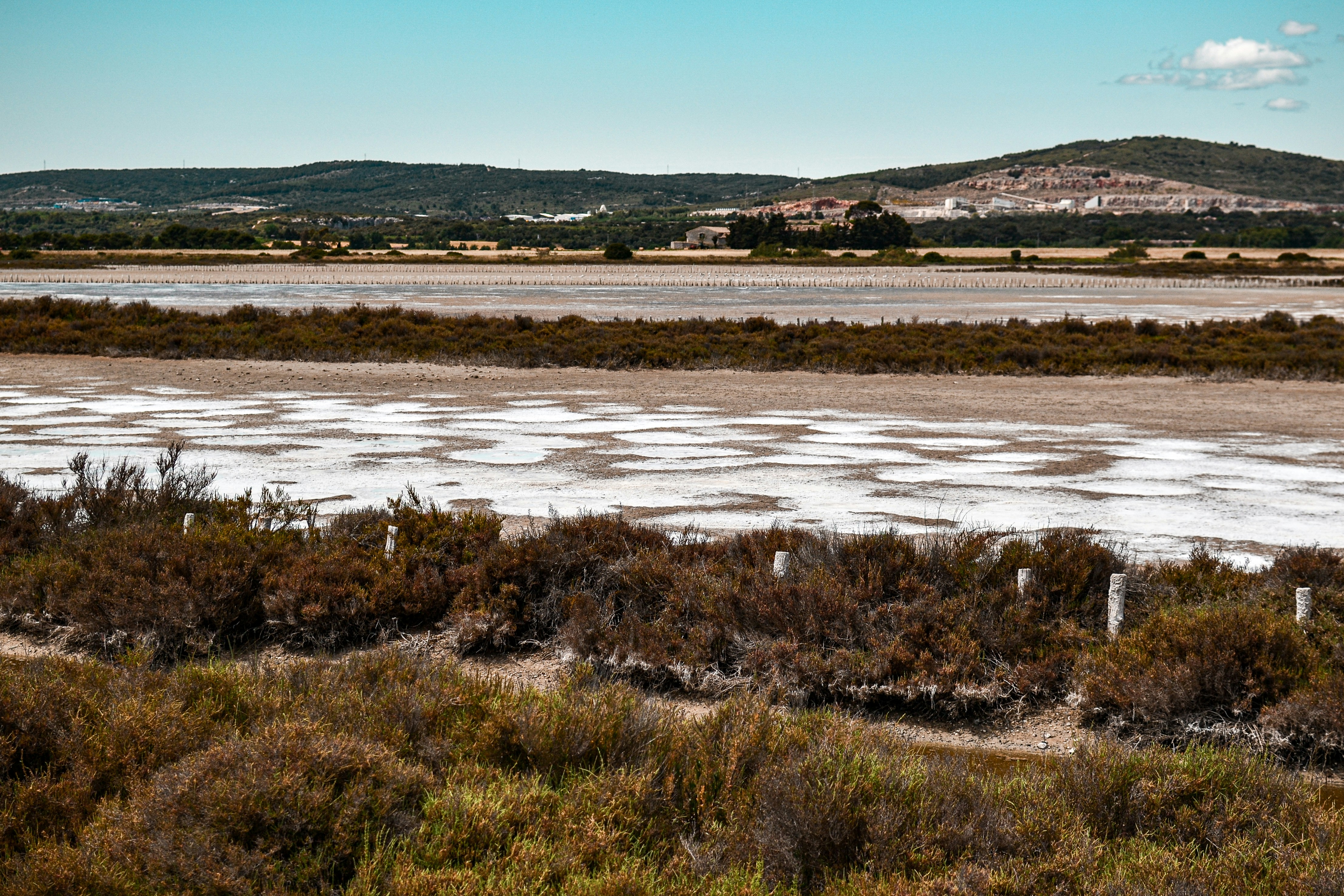 Photo by Jossuha Théophile with Nikon D3100