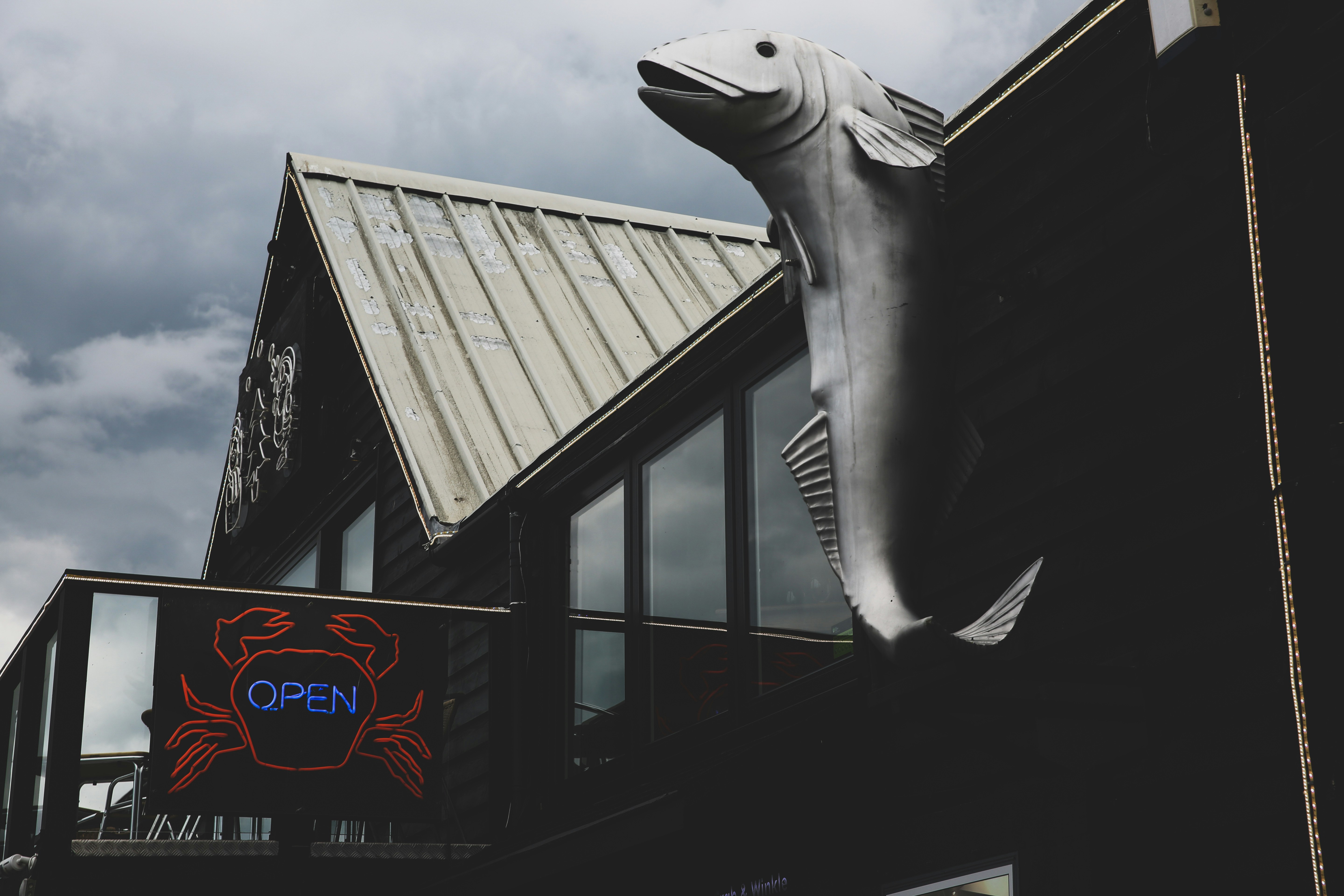 Rooftop Sentinel: Shark Above the Neon Open Sign