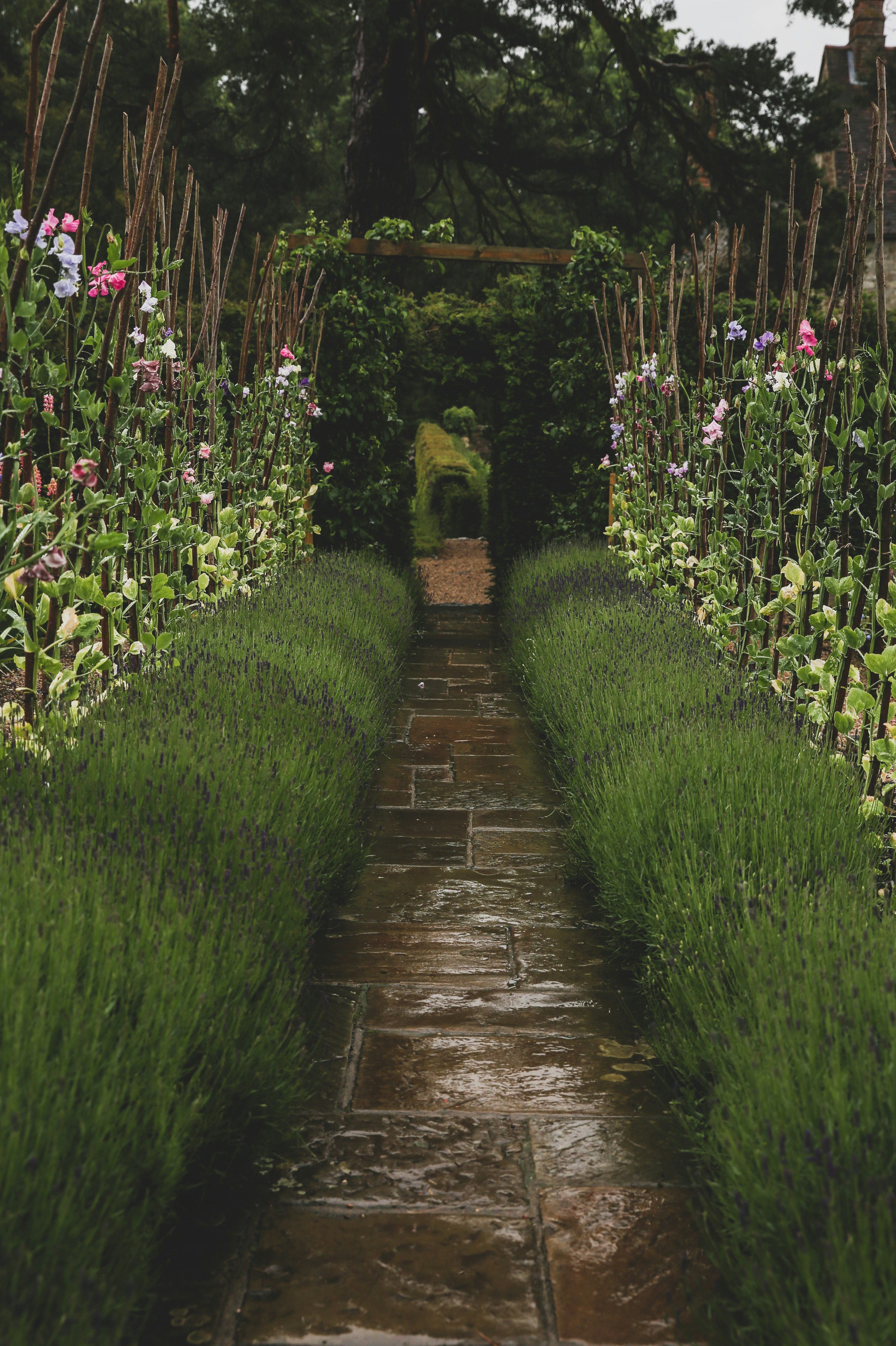 Garden | 6 best free garden, plant, flower and potted plant photos on ...